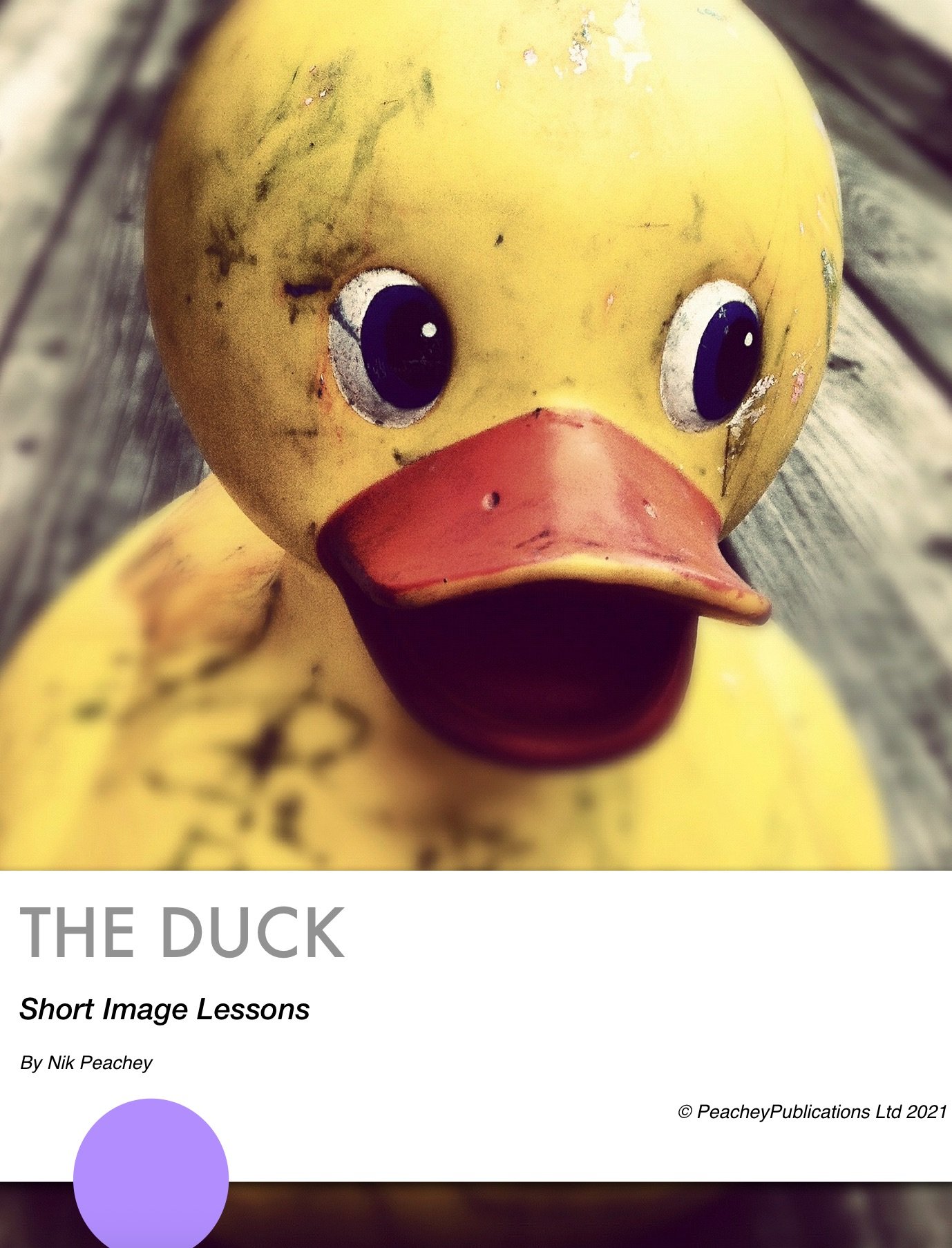 The Duck - Short Image Lessons - Payhip