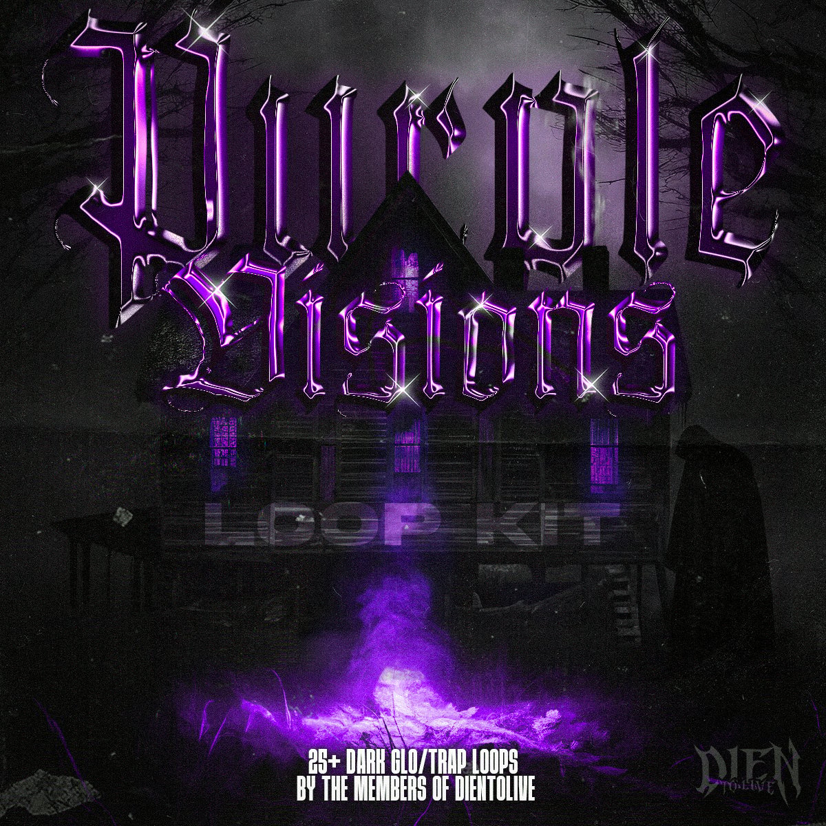 Purple Visions Loop Kit 2025 - Payhip