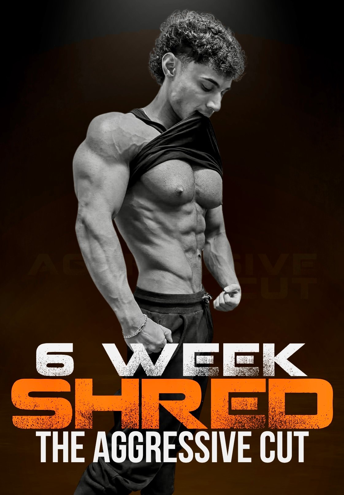 6 Week Shred – The Aggressive Cut - Payhip