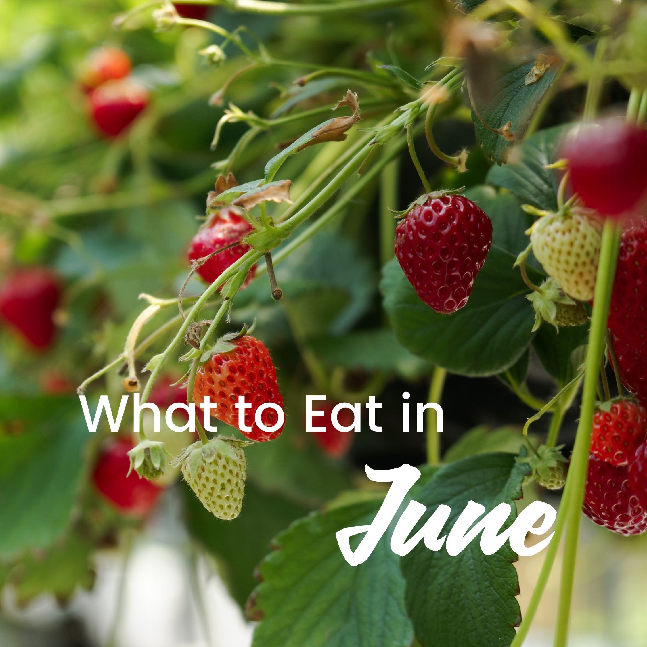 Seasonal Meal Planning: What to Eat in June (UK Edition)