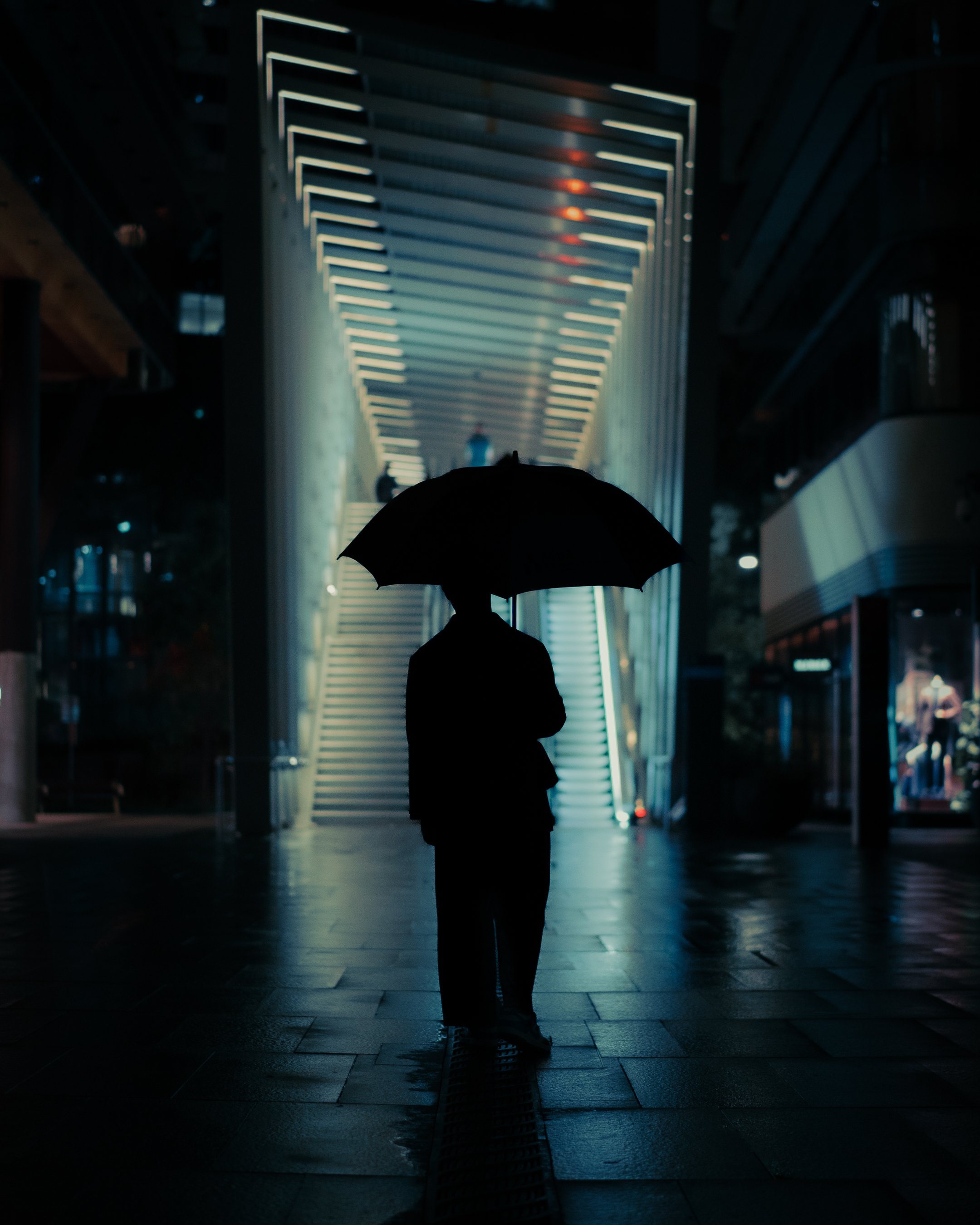 Santiago Duarte Presets - Payhip