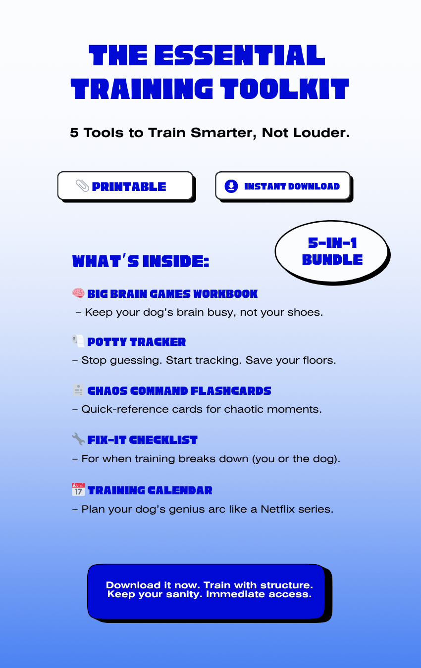 The Essential Training Toolkit - Payhip