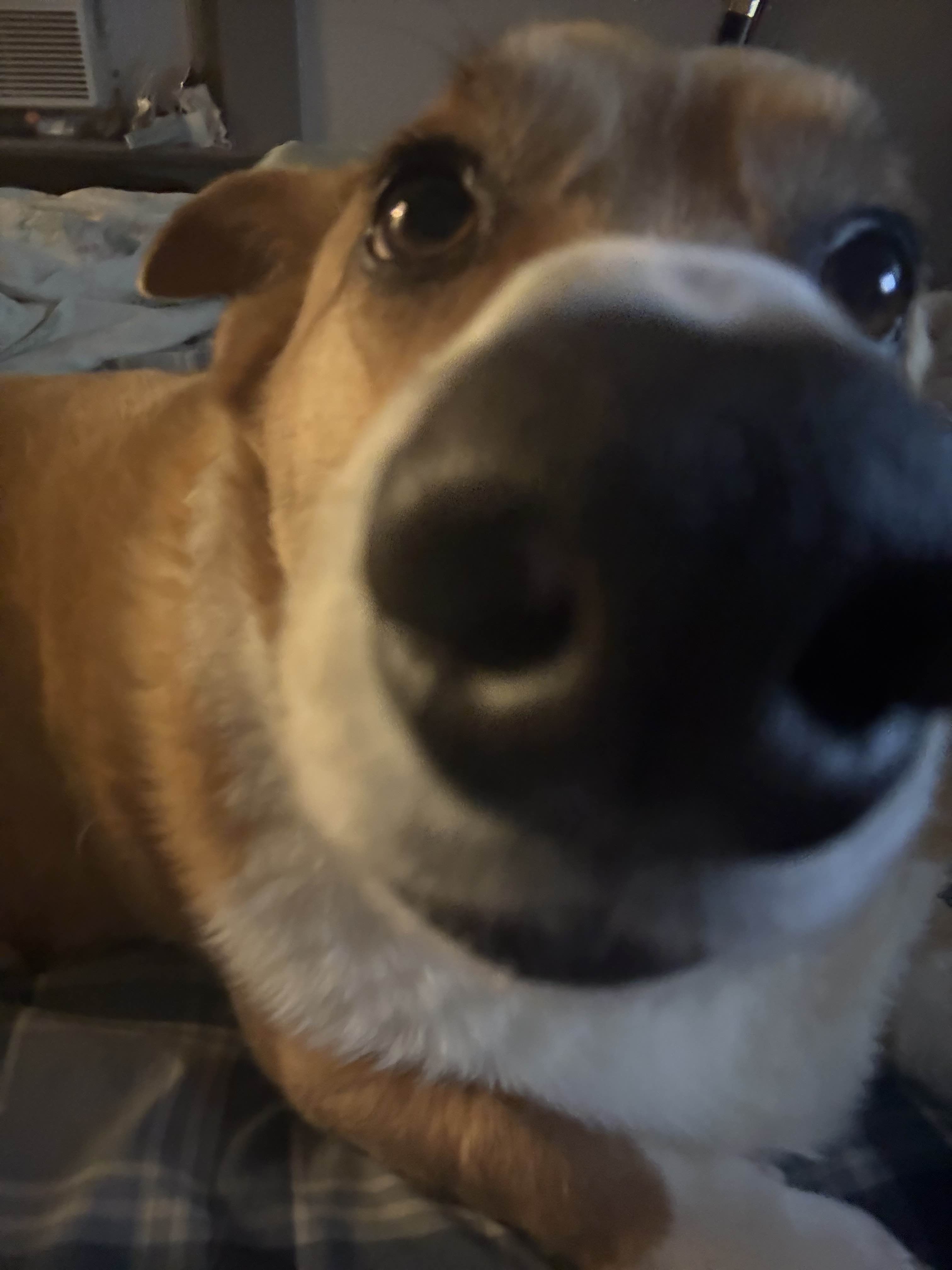 JUNO - Carry you home GUITAR TAB - Payhip