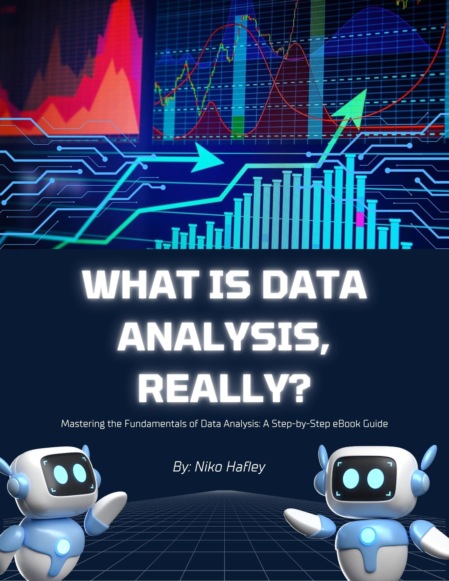 The Data Strategy book: Analyze, Predict, and Present with Confidence - Payhip