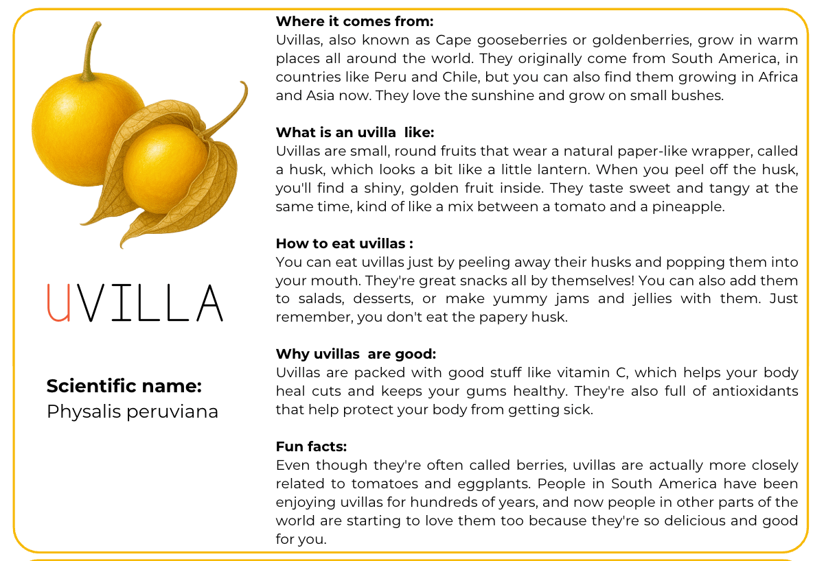 Fruit Alphabet Tracing Worksheet Bundle - From Apple to Zapote: Fruit ...