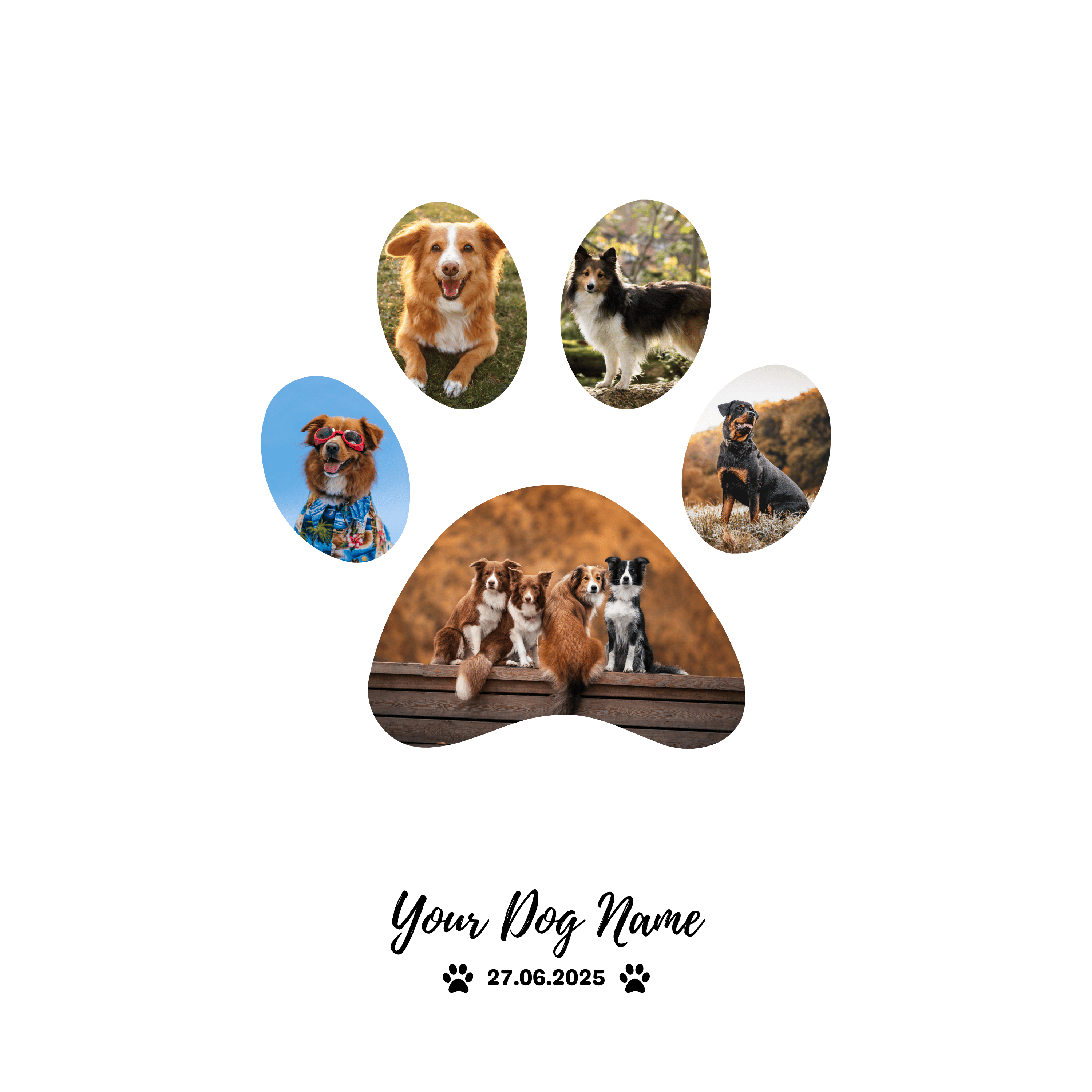 Dog 1 Photo Collage Frame Editable Canva Template - Payhip