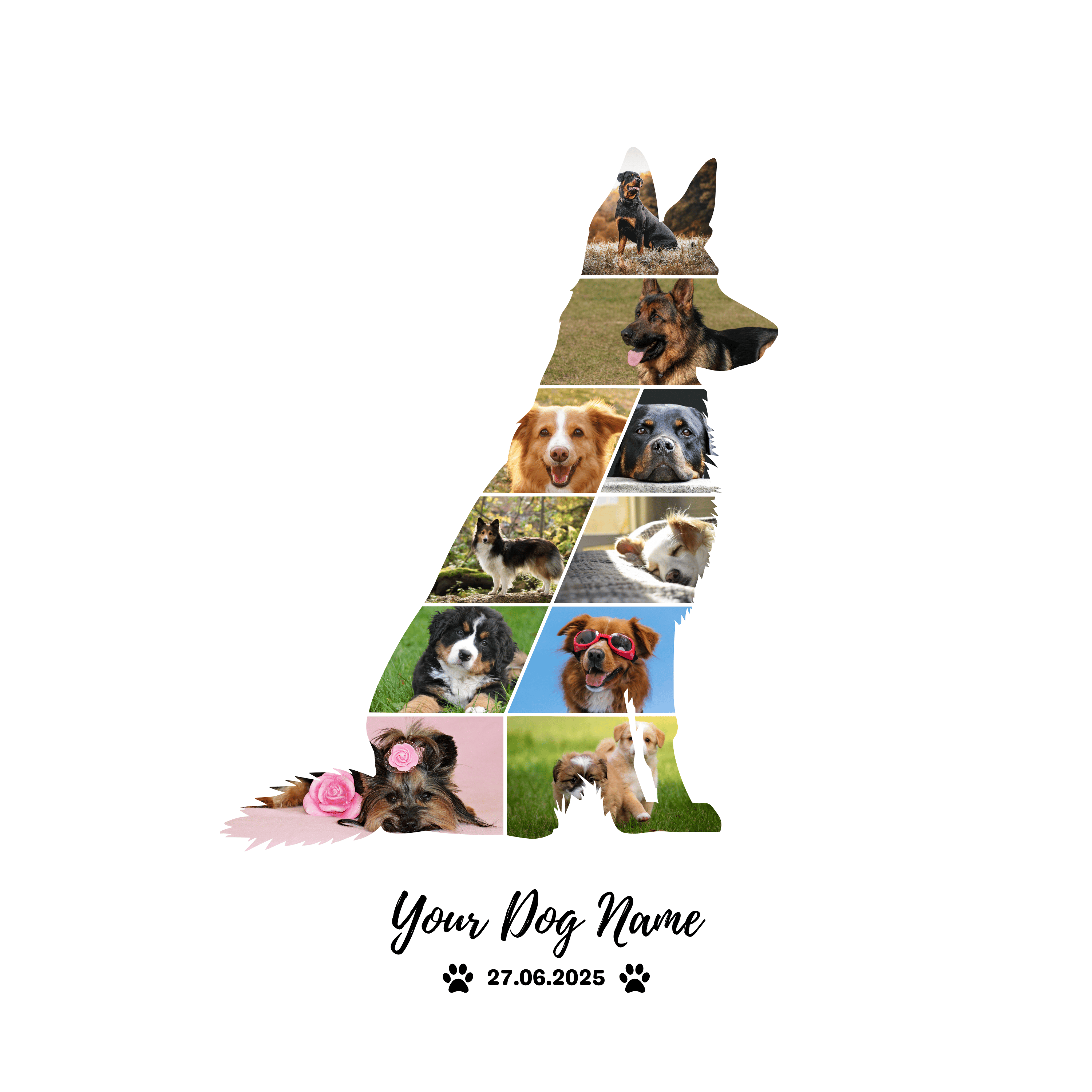 Dog 3 Photo Collage Frame Editable Canva Template - Payhip