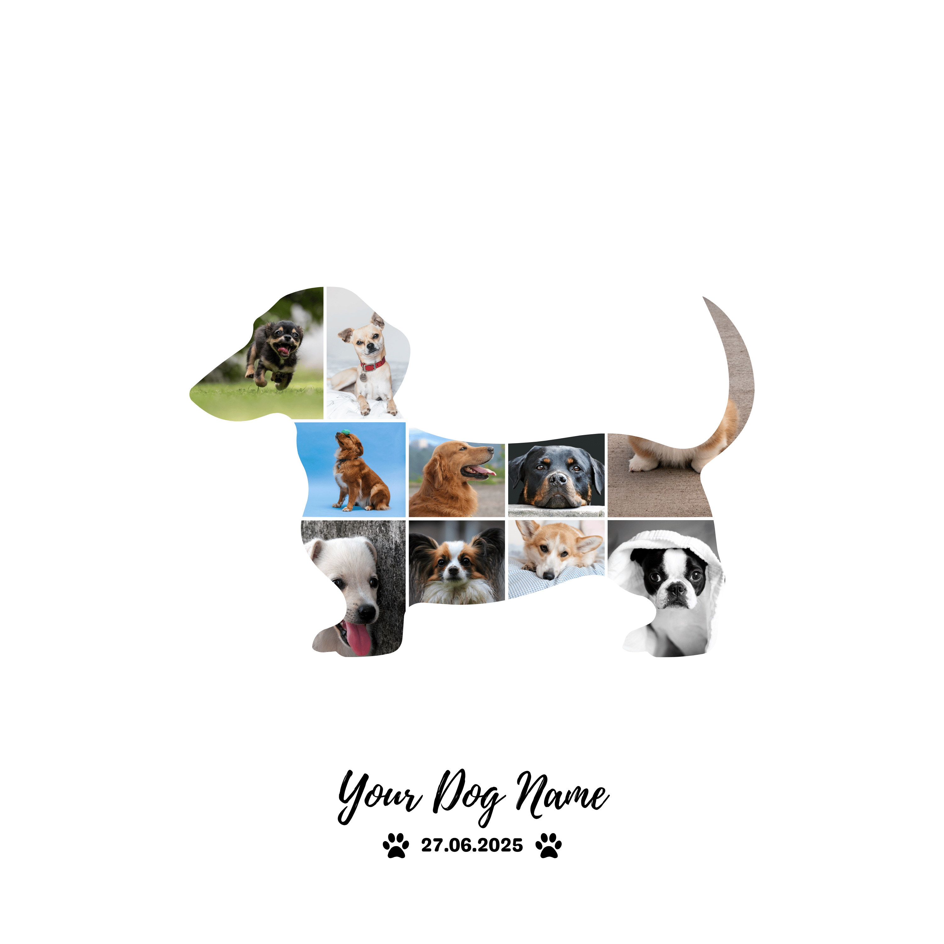 Dog 5 Photo Collage Frame Editable Canva Template - Payhip