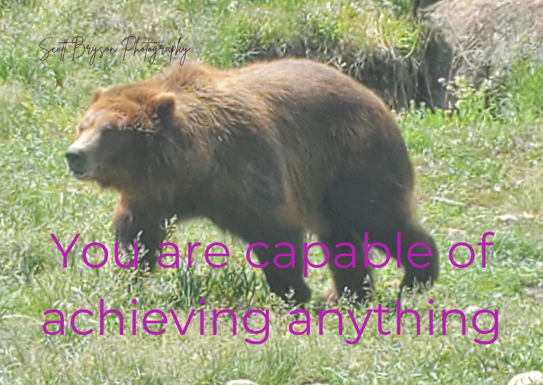 You are capable of achieving anything - Payhip