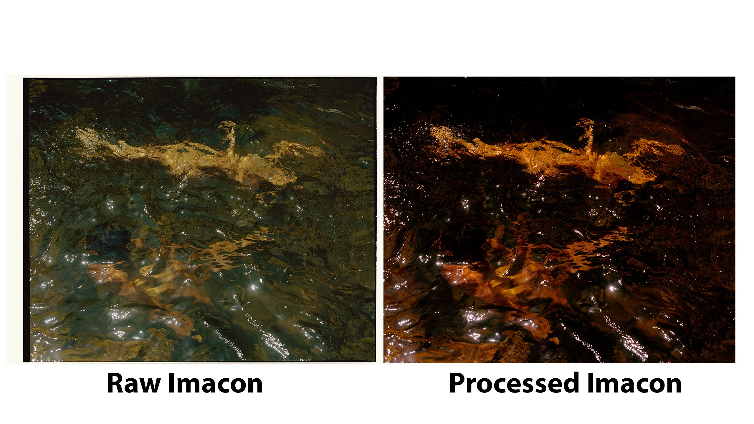 Perfecting Color in Film Photography