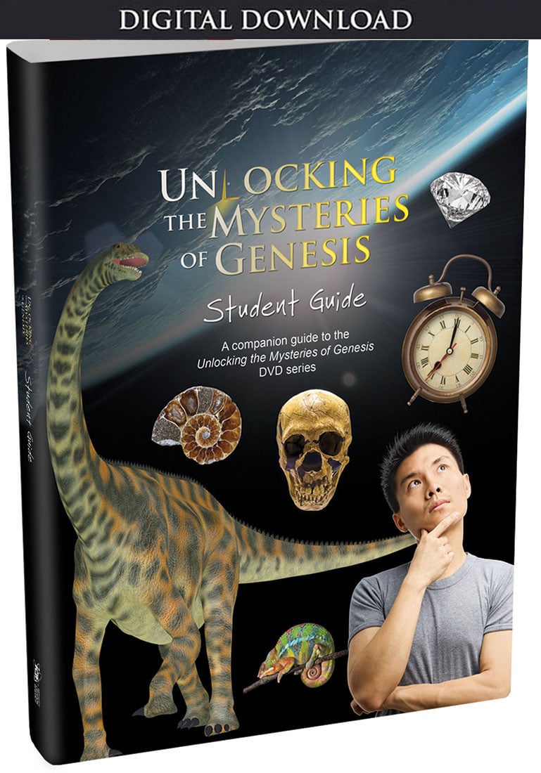 Unlocking The Secrets Of Your Genesis A Comprehensive Guide To Vin Decoder Genesis