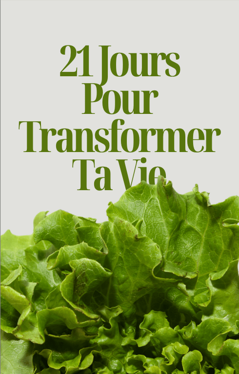 21 Jours Pour Transformer Ta Vie - Payhip