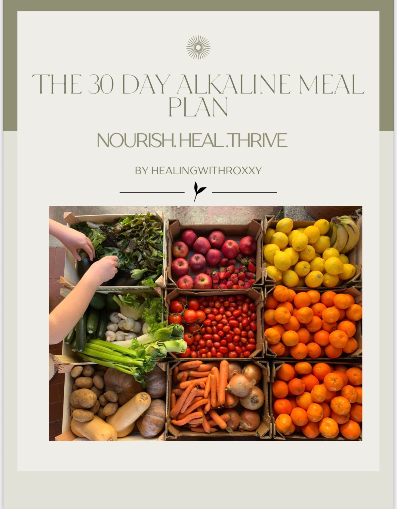 30 Day Alkaline Meal Plan Plus More Payhip