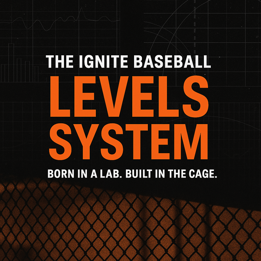 The Ignite Baseball Hitting Levels System - Payhip
