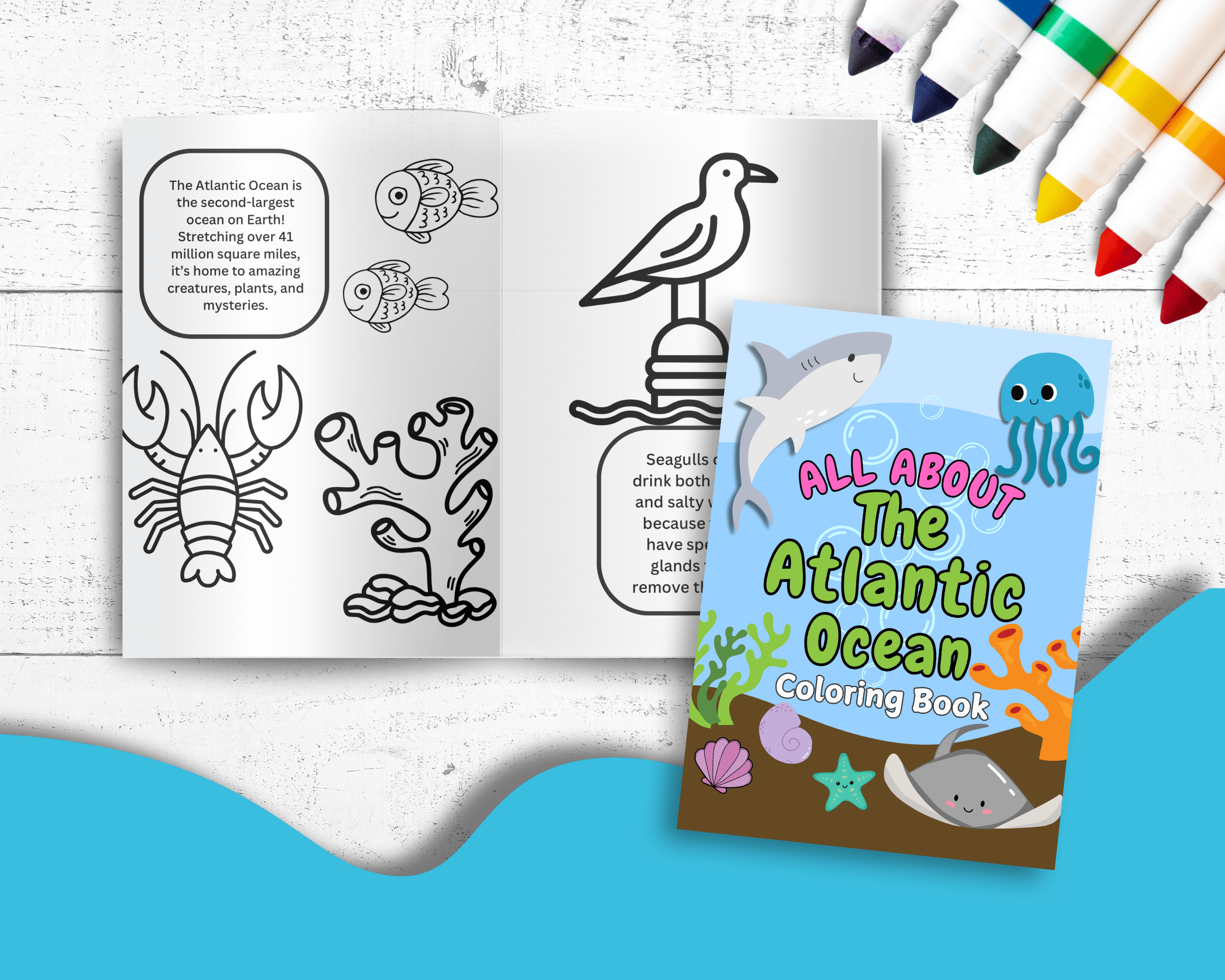 All About the Atlantic Ocean: Informational Coloring & Ocean Science ...