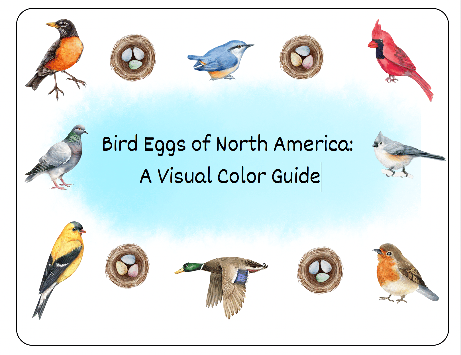 Bird Eggs of North America: A Visual Color Guide - Payhip