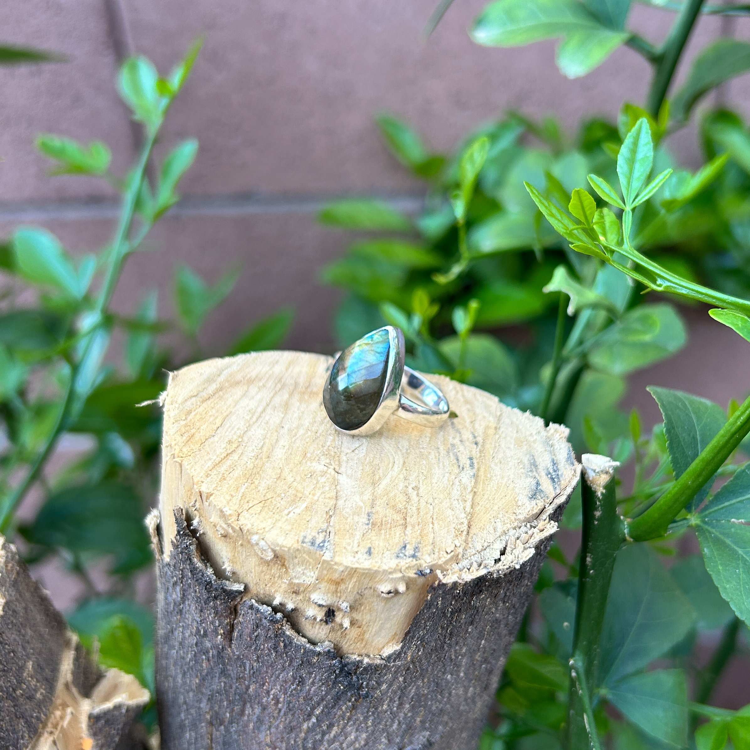 Labradorite Ring - The Seer’s Guardian - Payhip