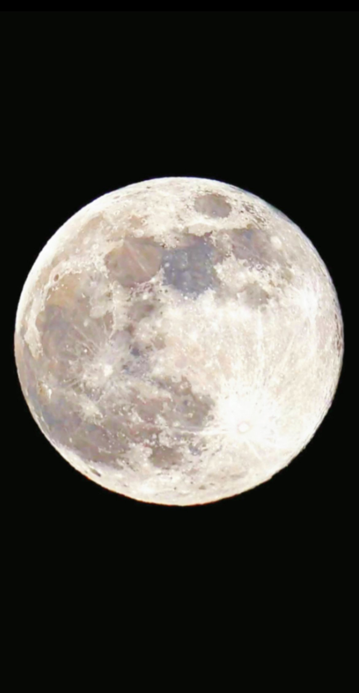 The Full Cold Moon - Payhip