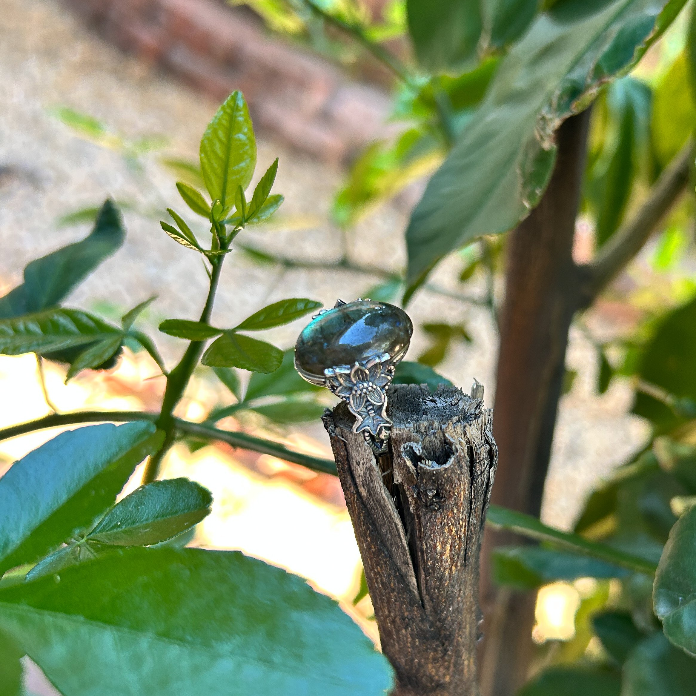 The Seer’s Shield Ring - Labradorite Ring - Payhip