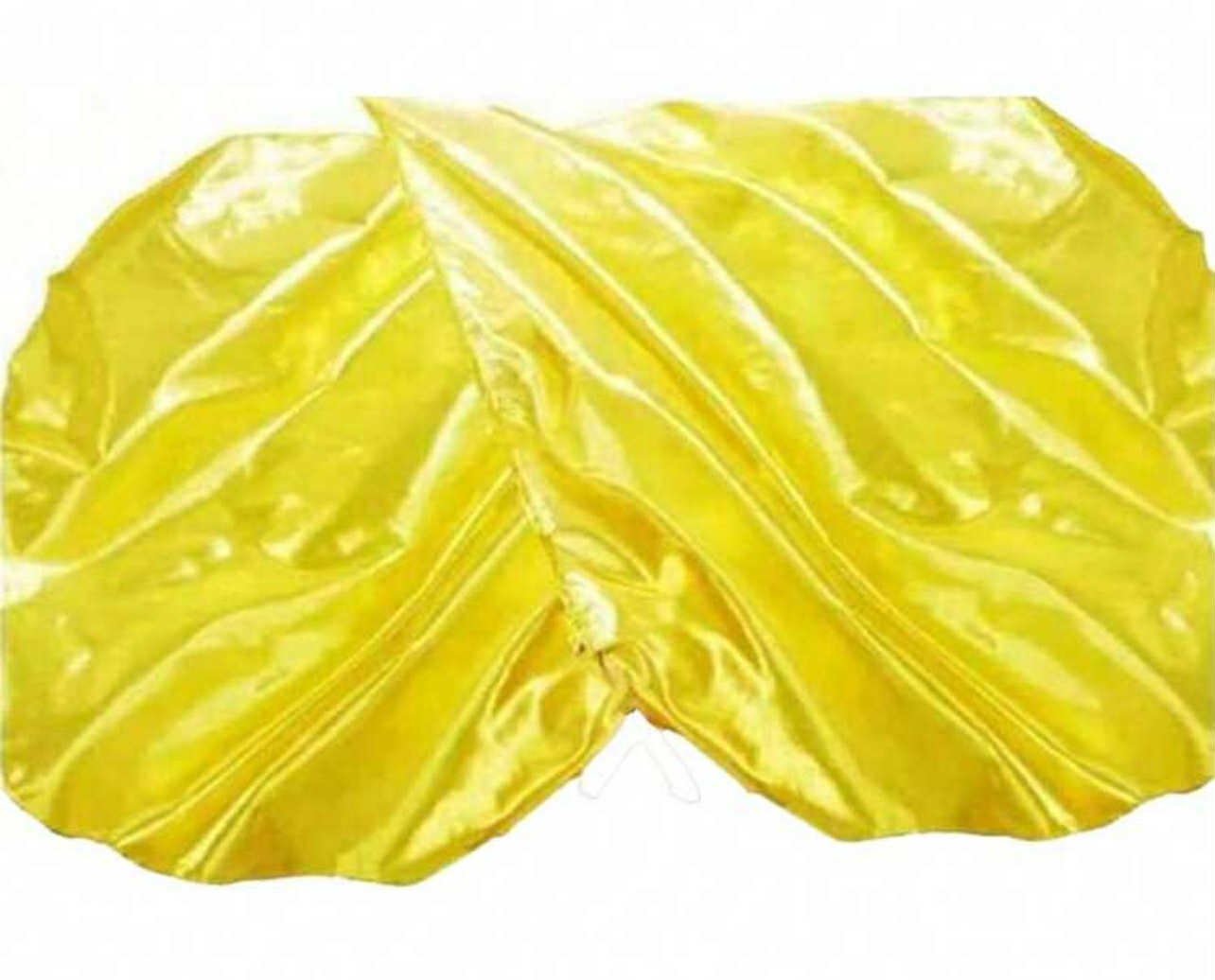 Large gold metallic wings - Payhip