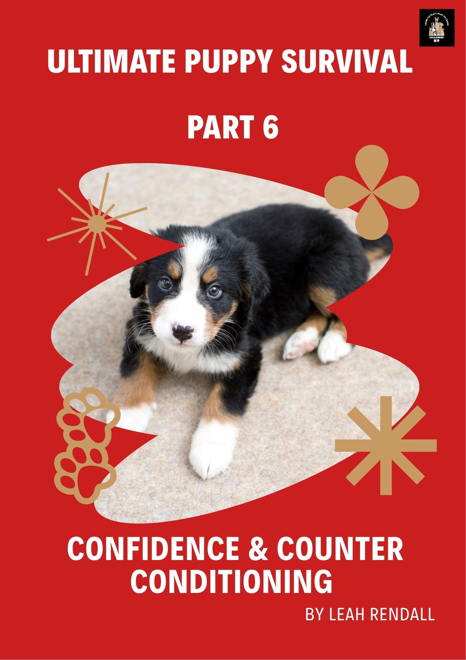 PT 6 - Confidence & Positive Pairing - Ultimate Puppy - Payhip