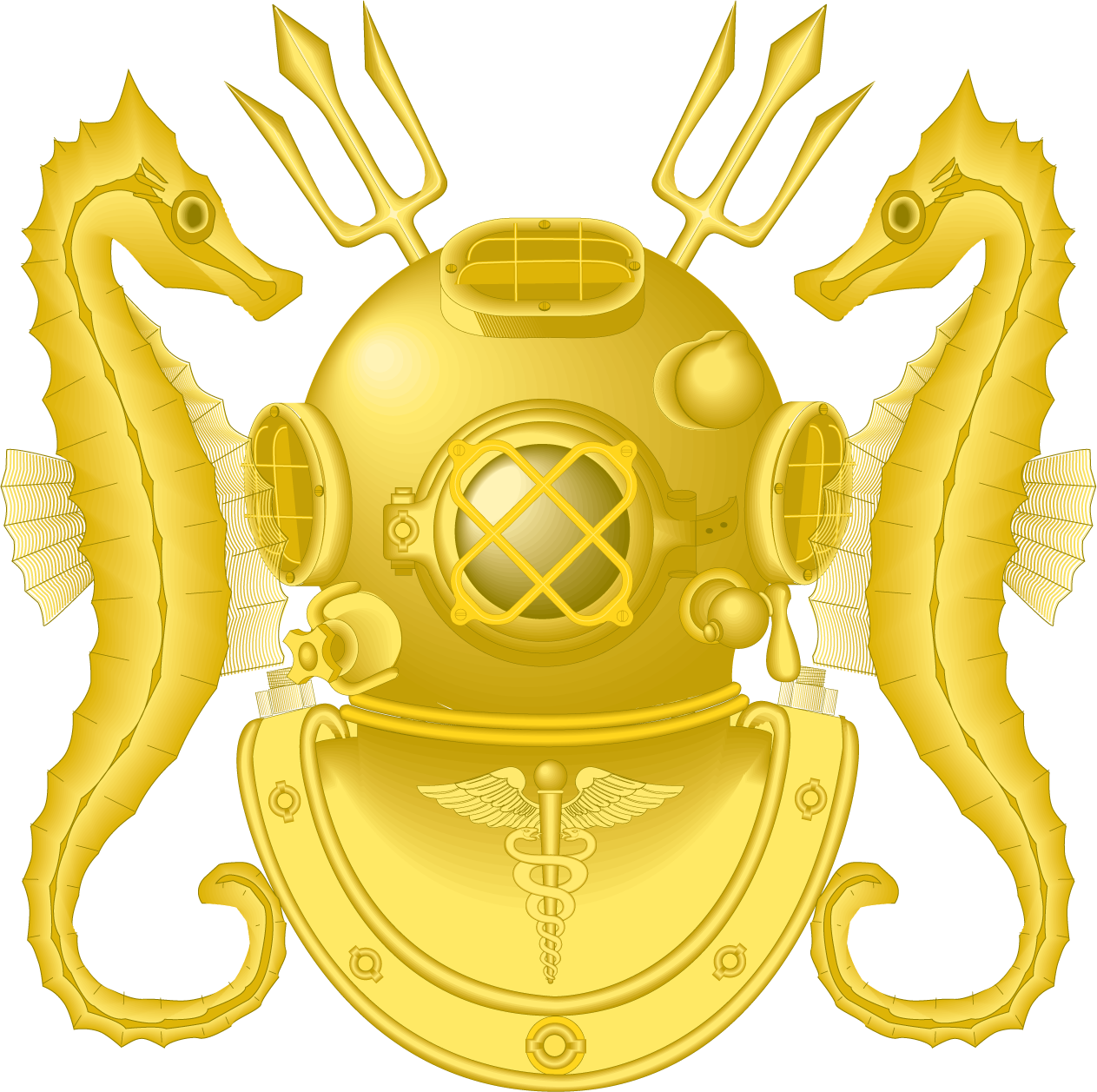 Diving Medical Badge - Payhip