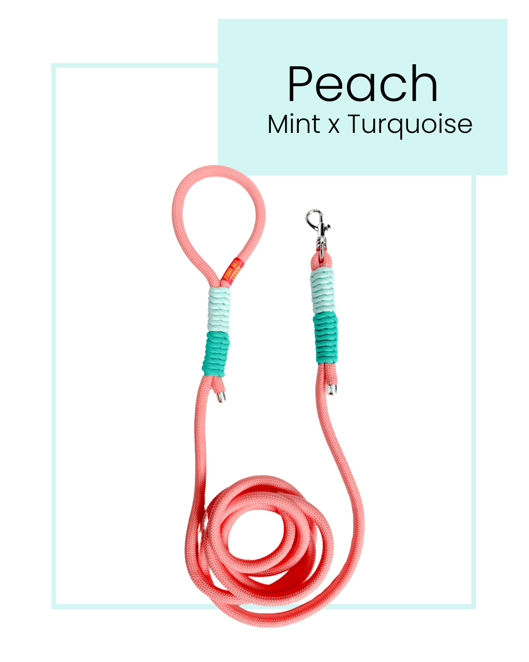 Handmade Clip leash - Classic - Peach x Turquoise - Payhip