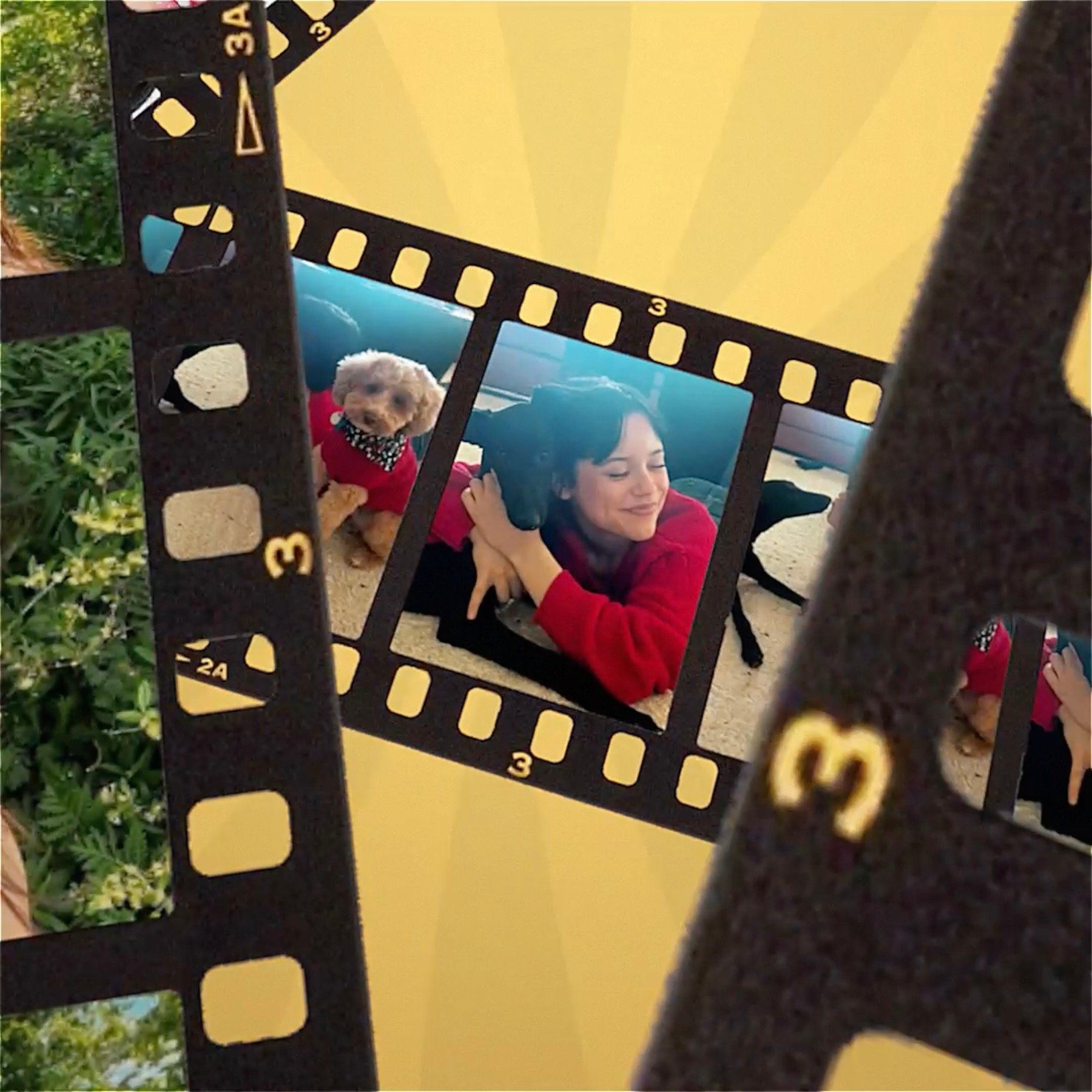 jenna | after the storm - Payhip