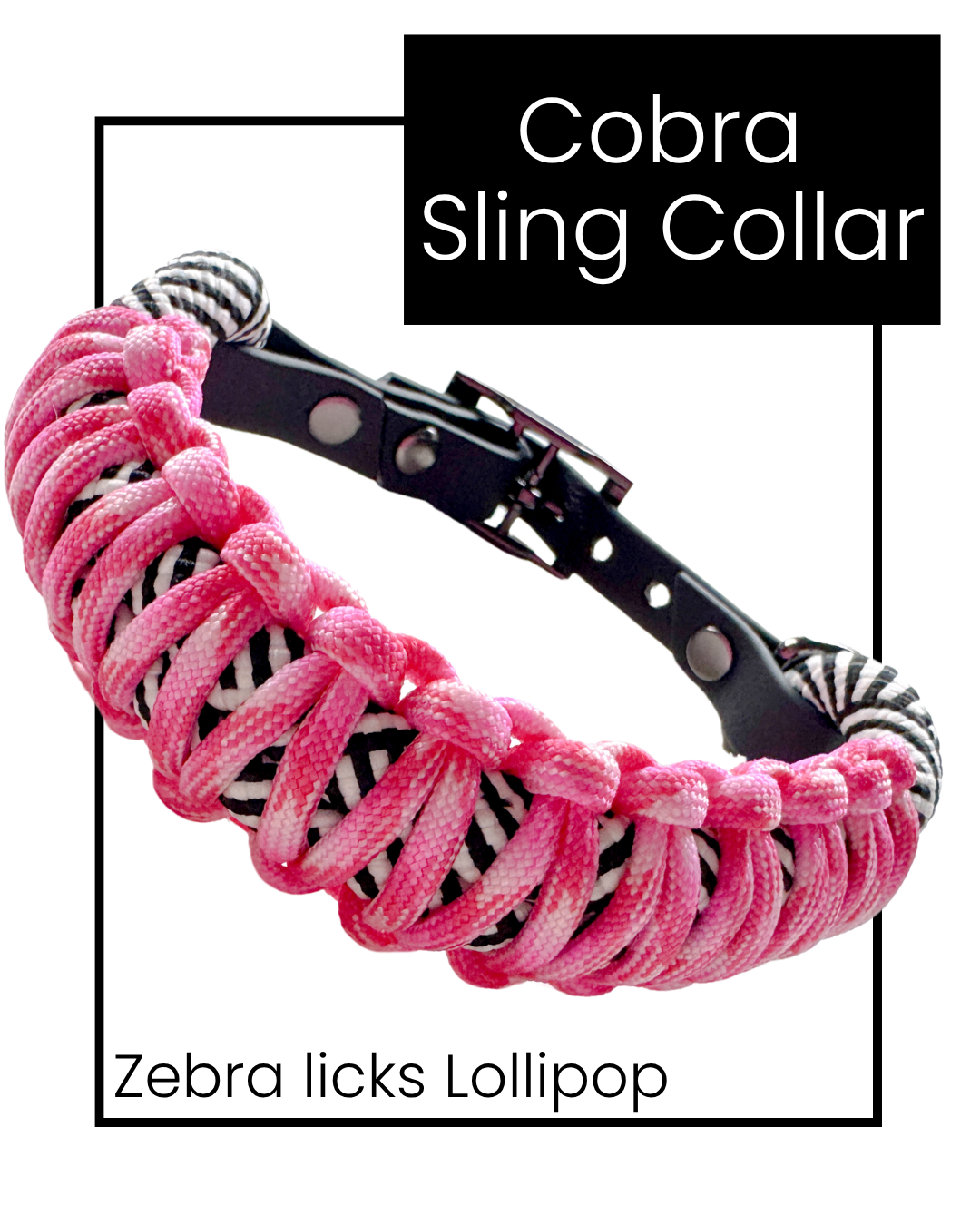 Handmade Dog Collar - Cobra Sling Collar - Zebra loves Lollipop - Payhip