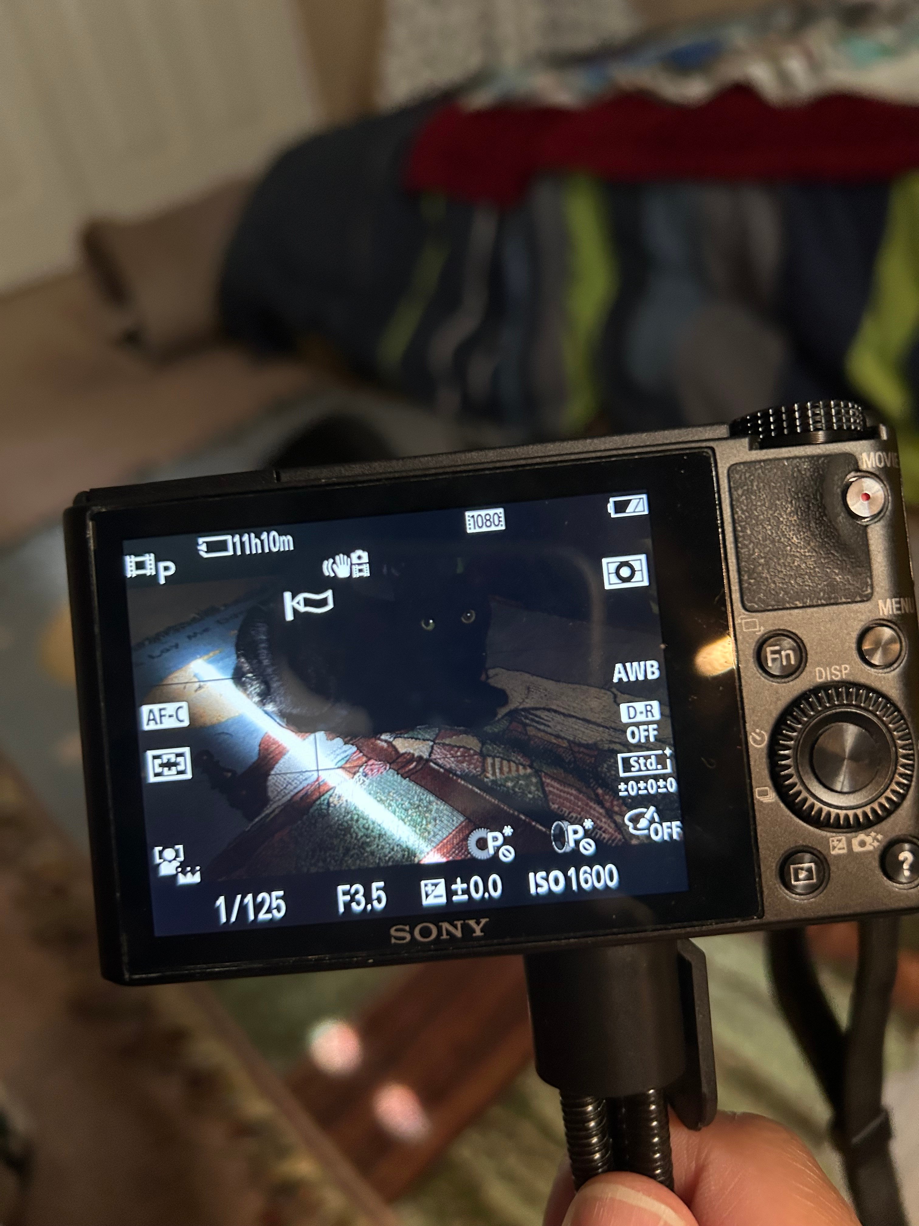 Sony RX100 20.2MP Compact Camera – Excellent Condition, Includes Battery - Payhip