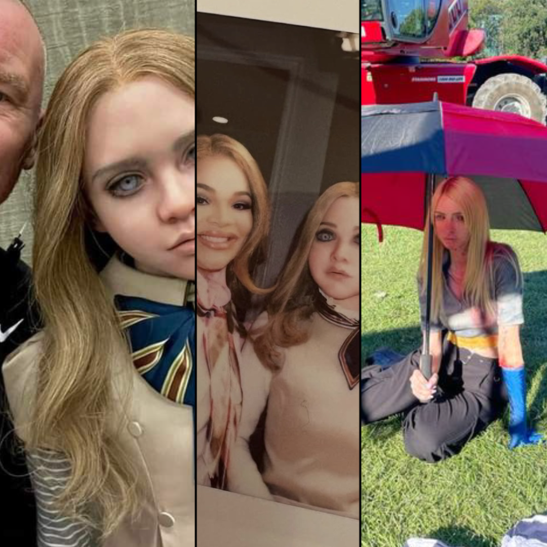 bl2rry panel pack (READ DESCRIPTION) - Payhip