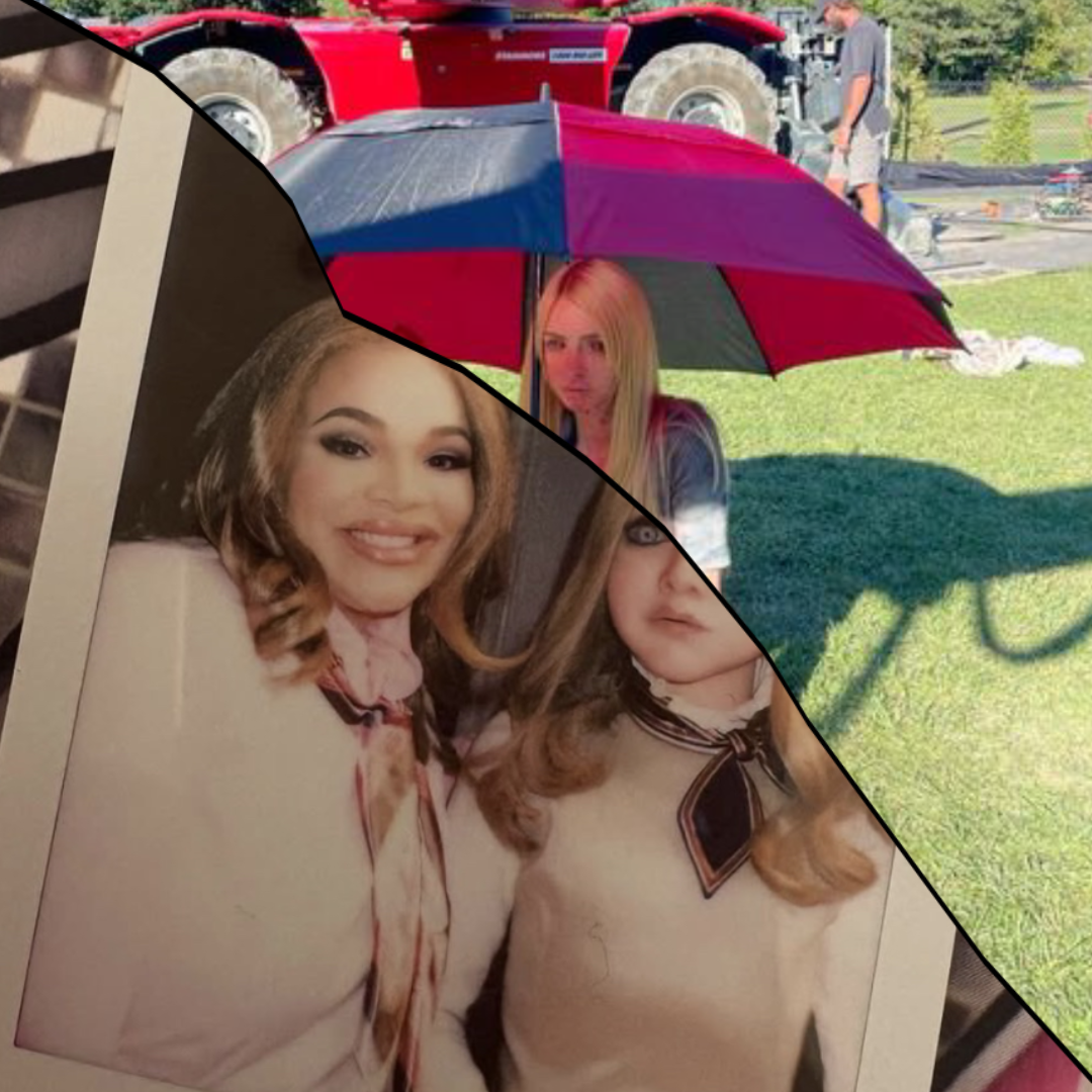 bl2rry panel pack (READ DESCRIPTION) - Payhip