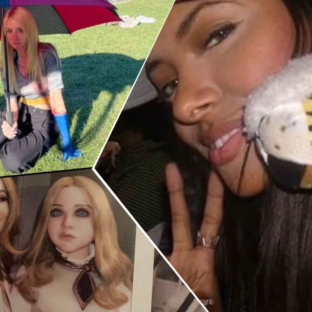 bl2rry panel pack (READ DESCRIPTION) - Payhip