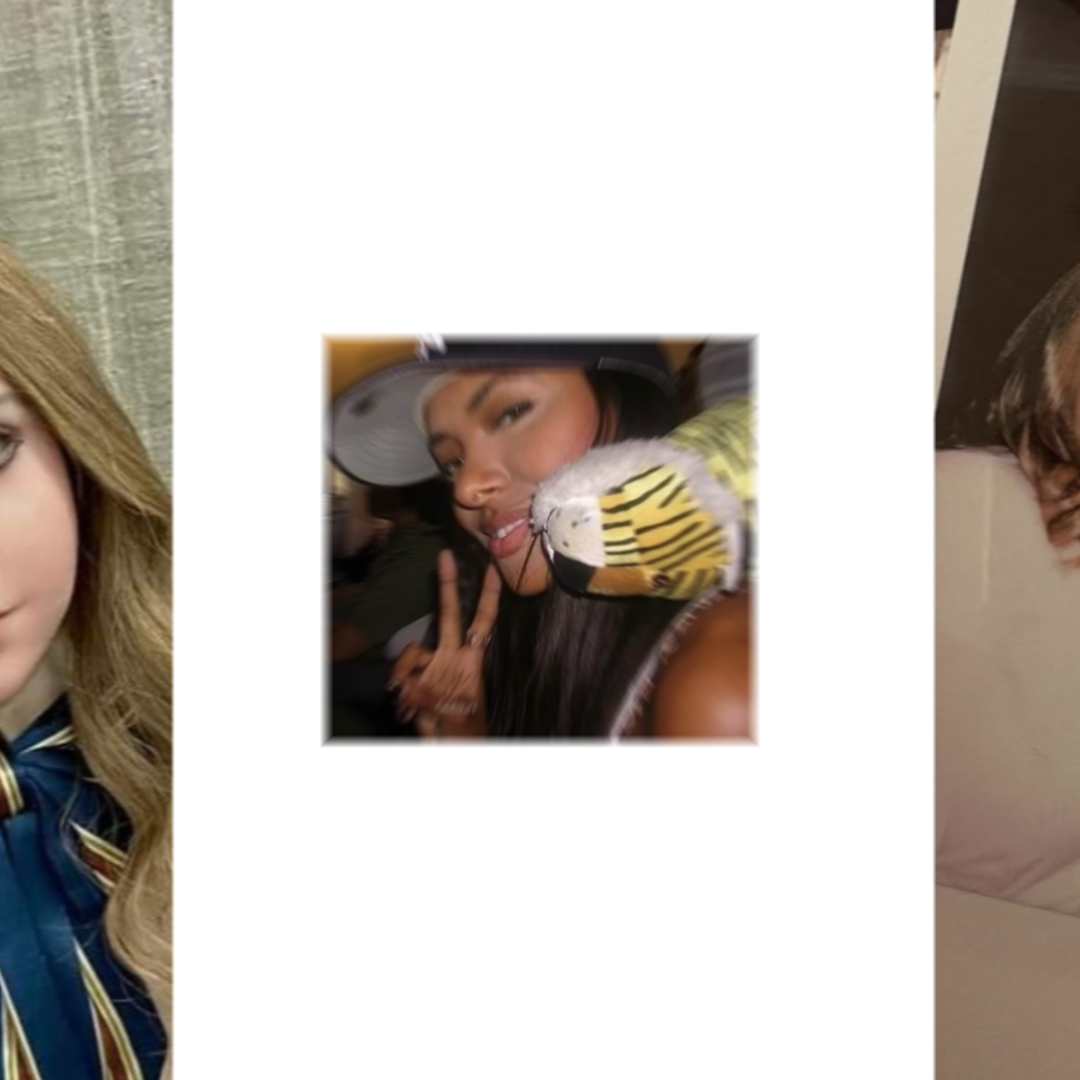 bl2rry panel pack (READ DESCRIPTION) - Payhip