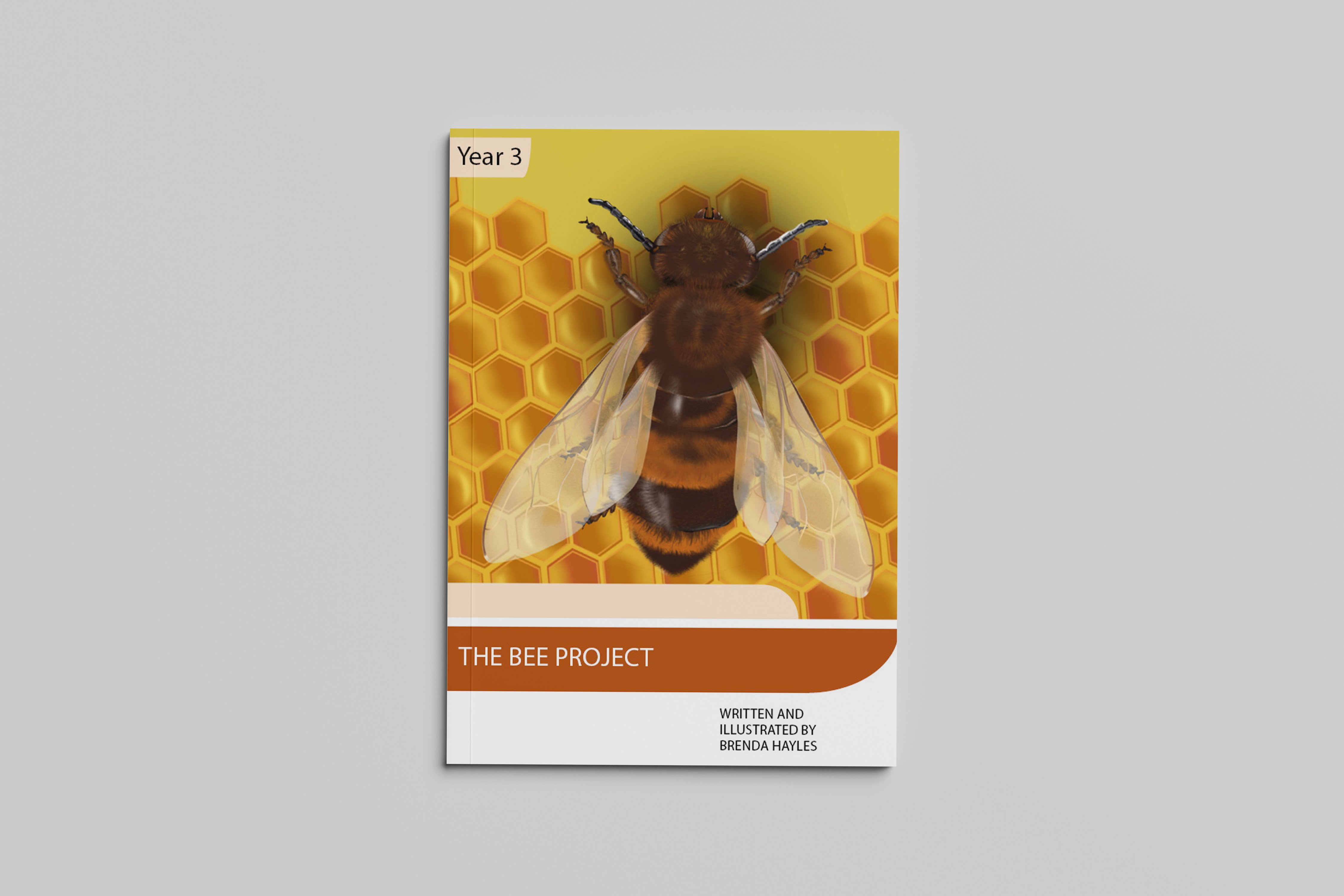 The Bee Project Year 3 Science Booklet | KS2 Bees, Pollination ...