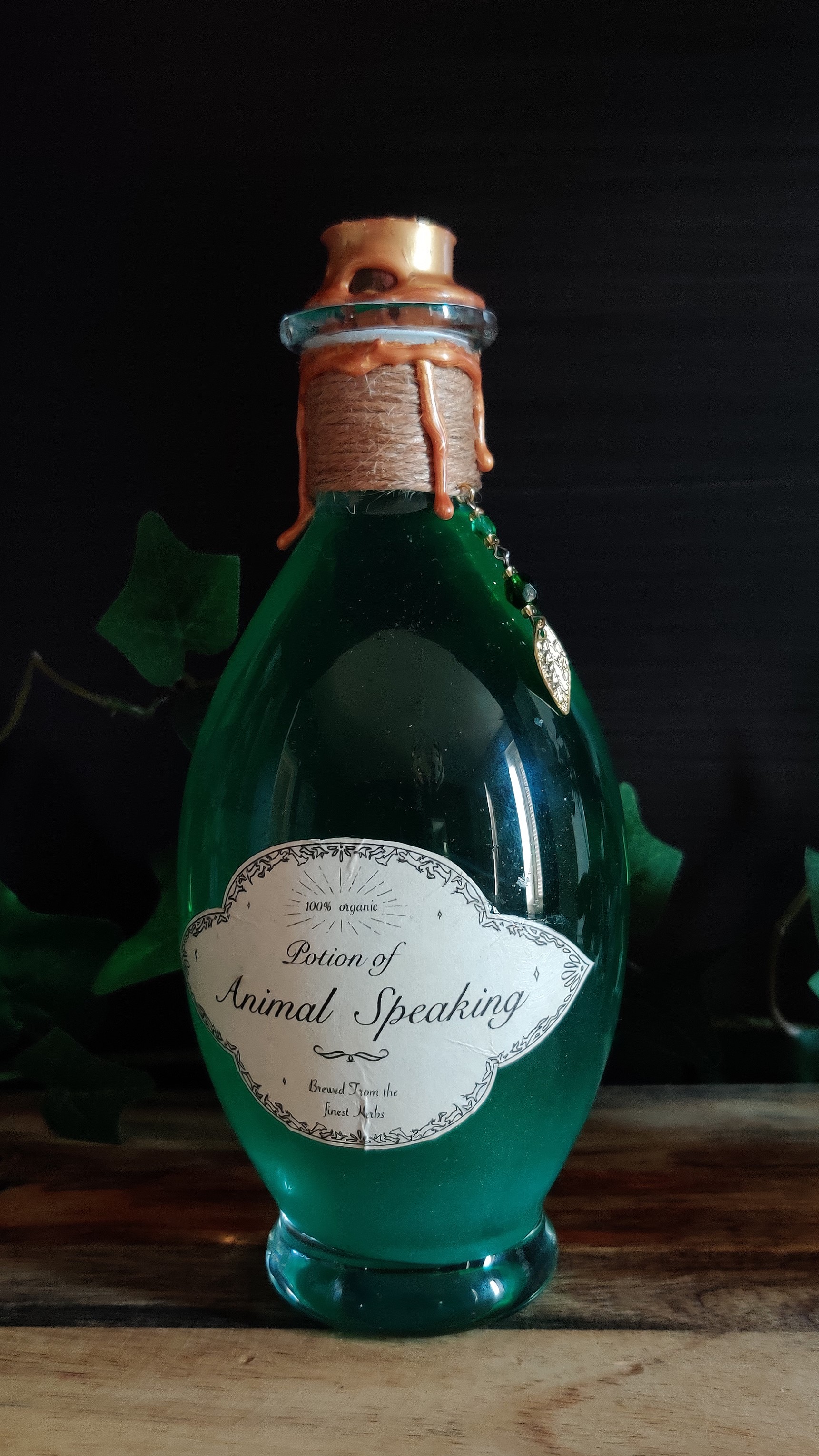 Potion of Animal Speaking - Payhip