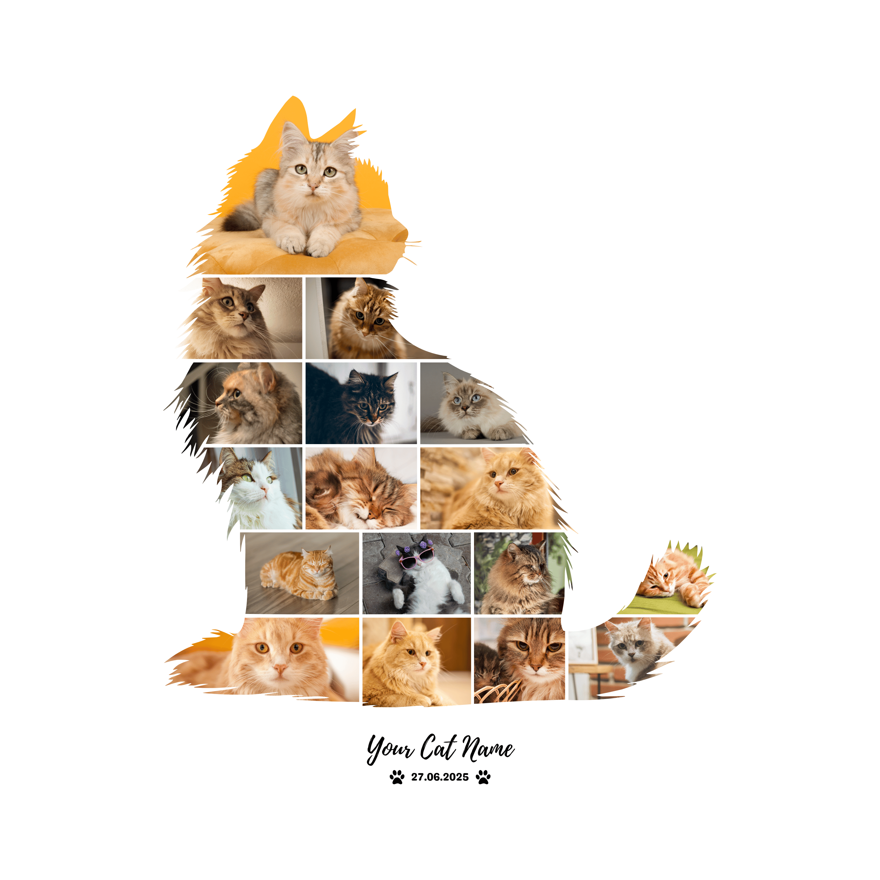 Cat Photo Collage Frame Editable Canva Template Part 7 - Payhip