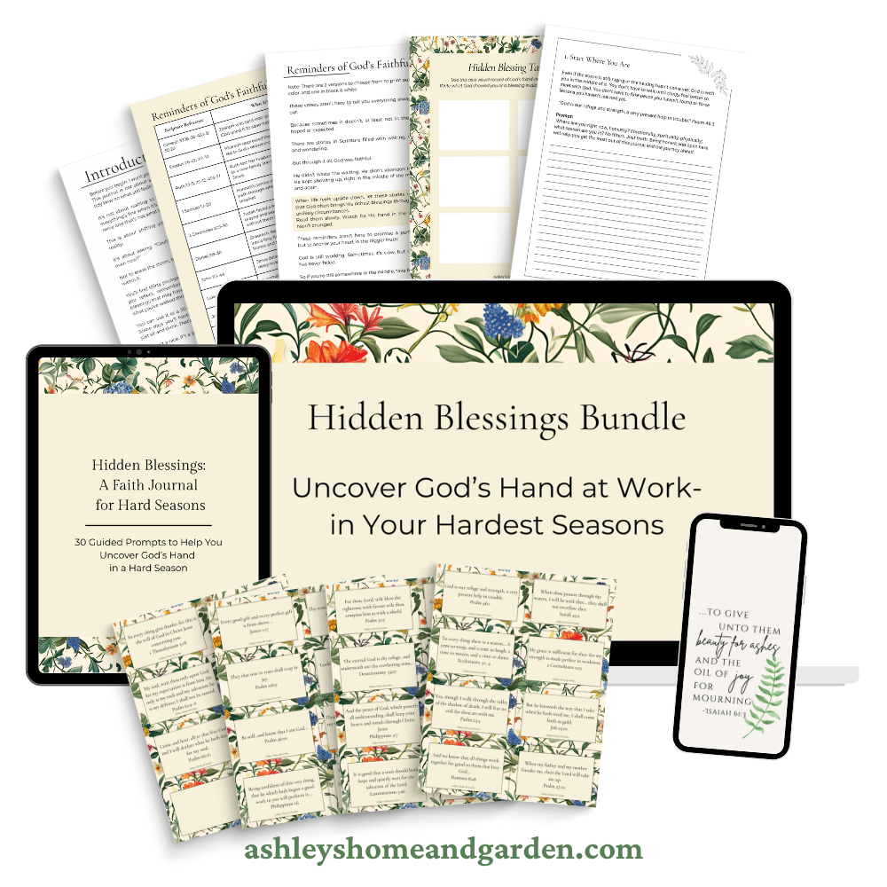 Hidden Blessing Bundle: Uncover God's Hand at Work- in Your Hardest ...