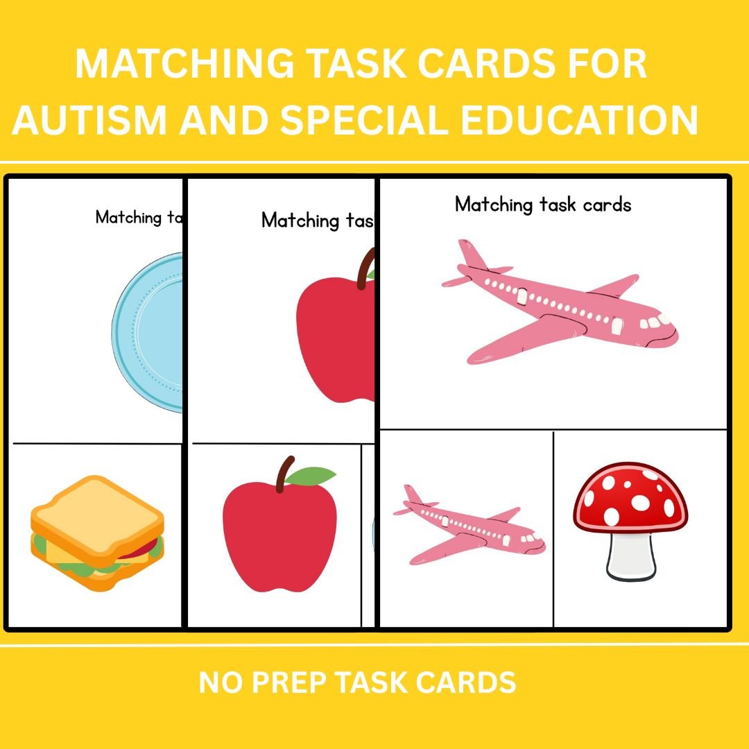 Matching Task cards for Autism and Special Education. - Payhip