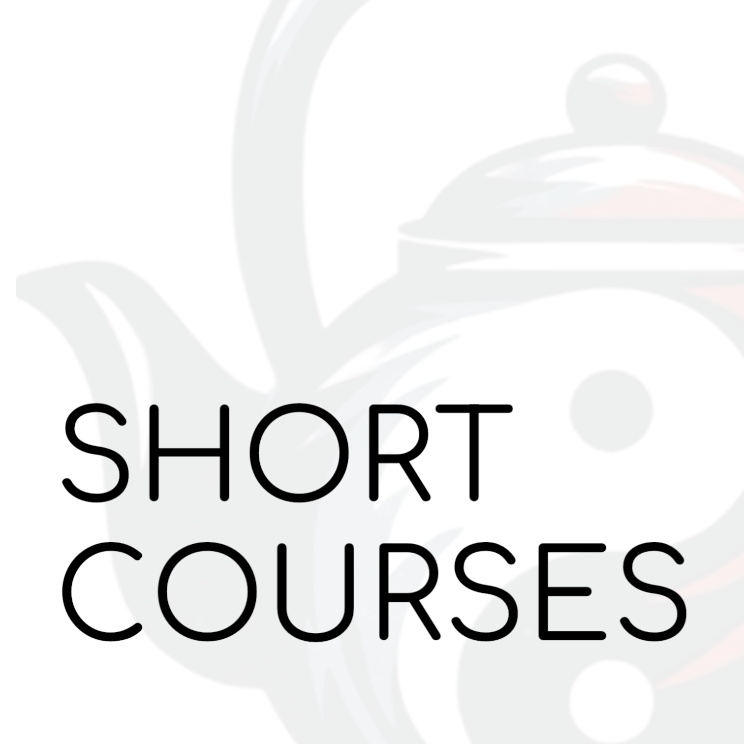 21st Century Tai Chi with the teapotmonk - Short Courses