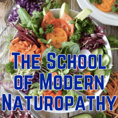 School of Modern Naturopathy