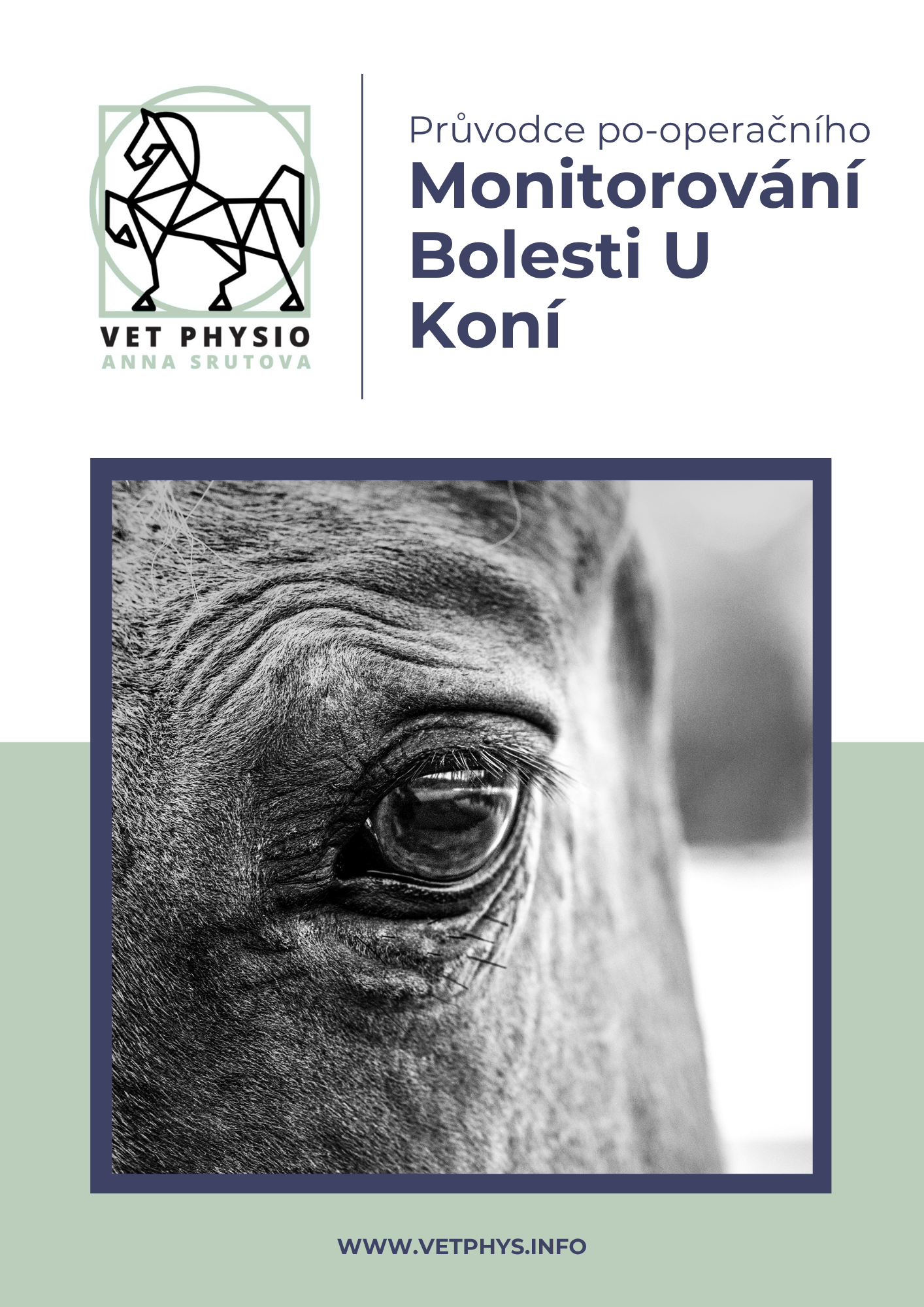 Monitorování Bolesti u Koní při Rekonvalescenci - Payhip