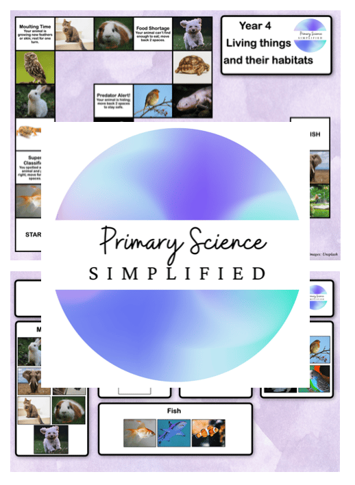 Classifying Animals Board Game – Year 4 Science - Payhip