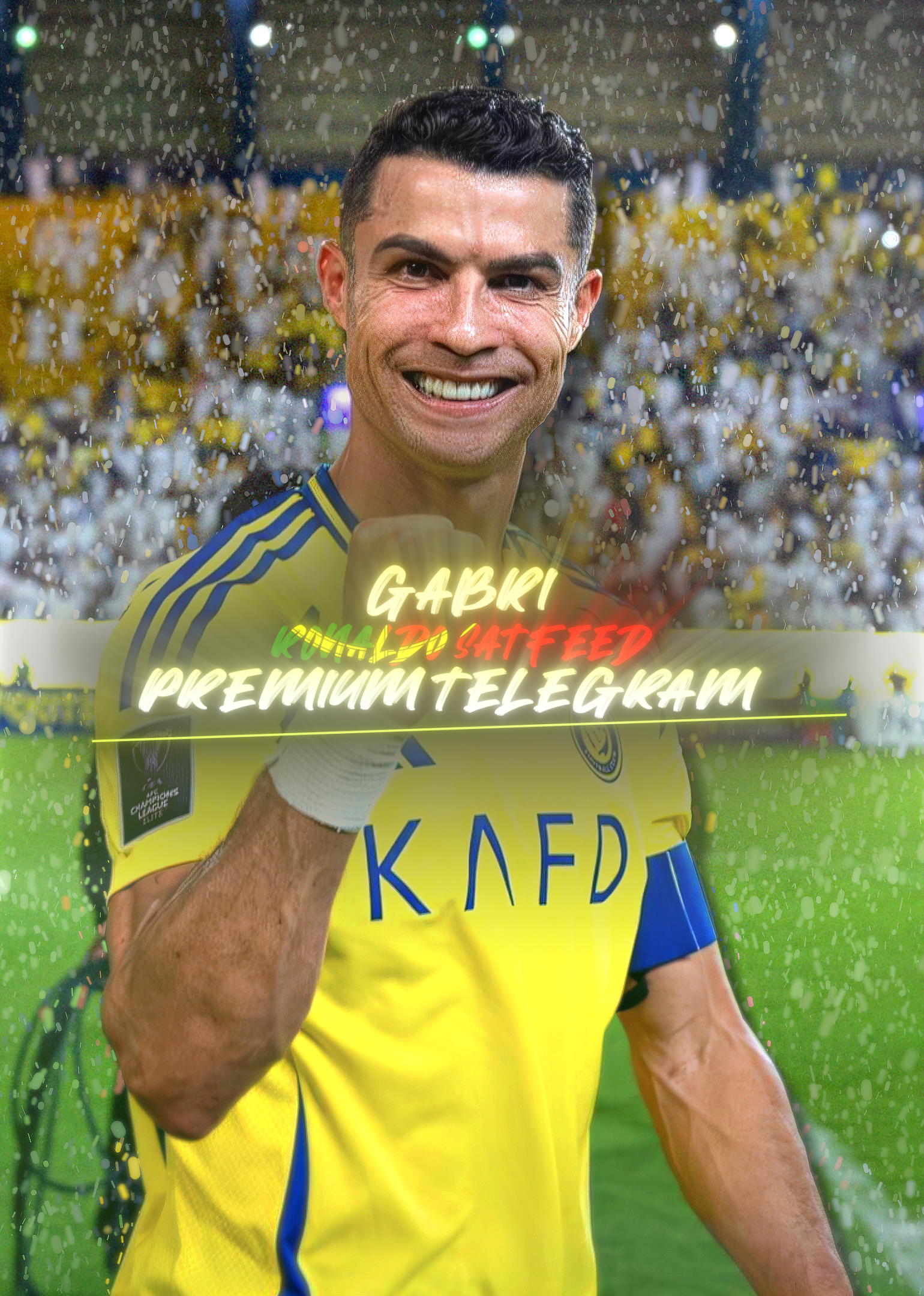 GABRI RONALDO SATFEED PREMIUM TELEGRAM - Payhip