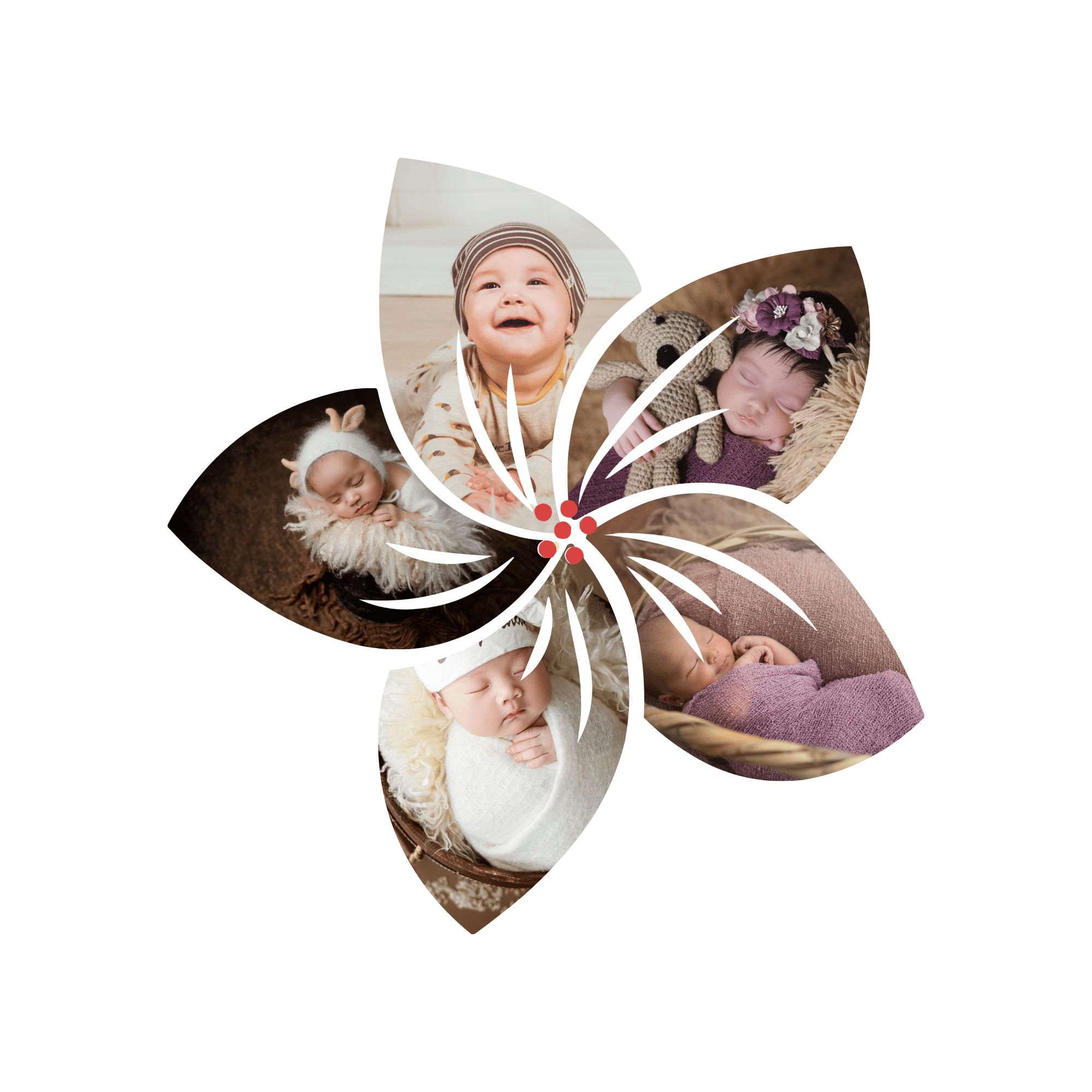 Flower Photo Collage Canva Template Part 1 - Payhip