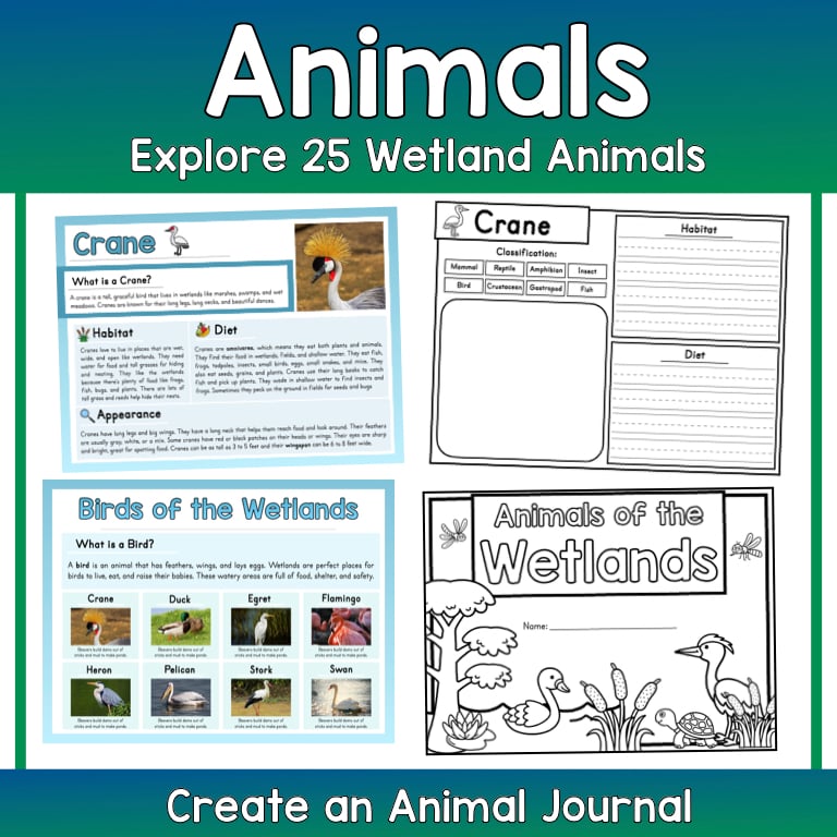 Wading Into Wetlands: A K–2 Science Unit on Wetland Habitats and ...