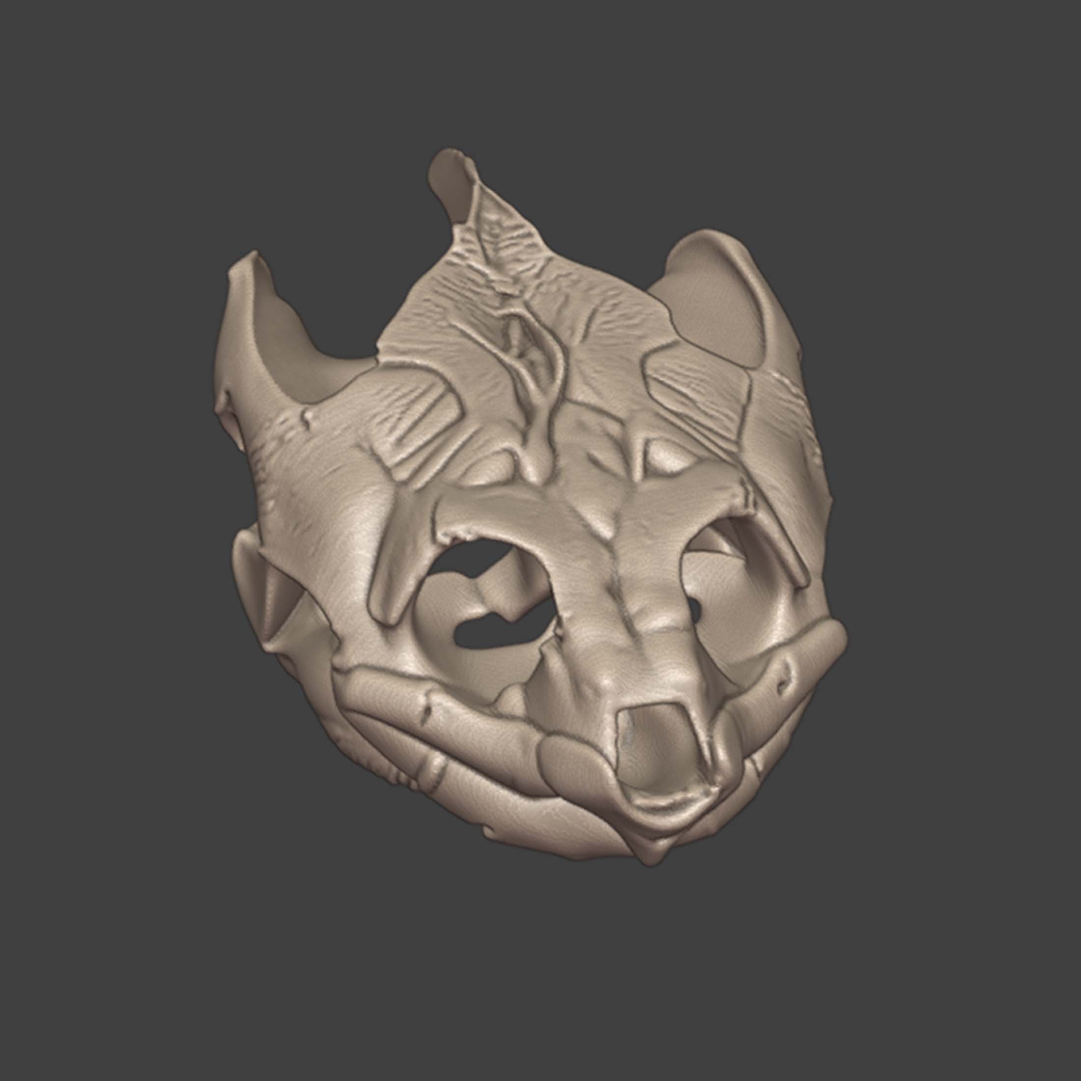 Snapping Turtle Skull 3D Model - 1 STL File for 3D Printing | Digital ...