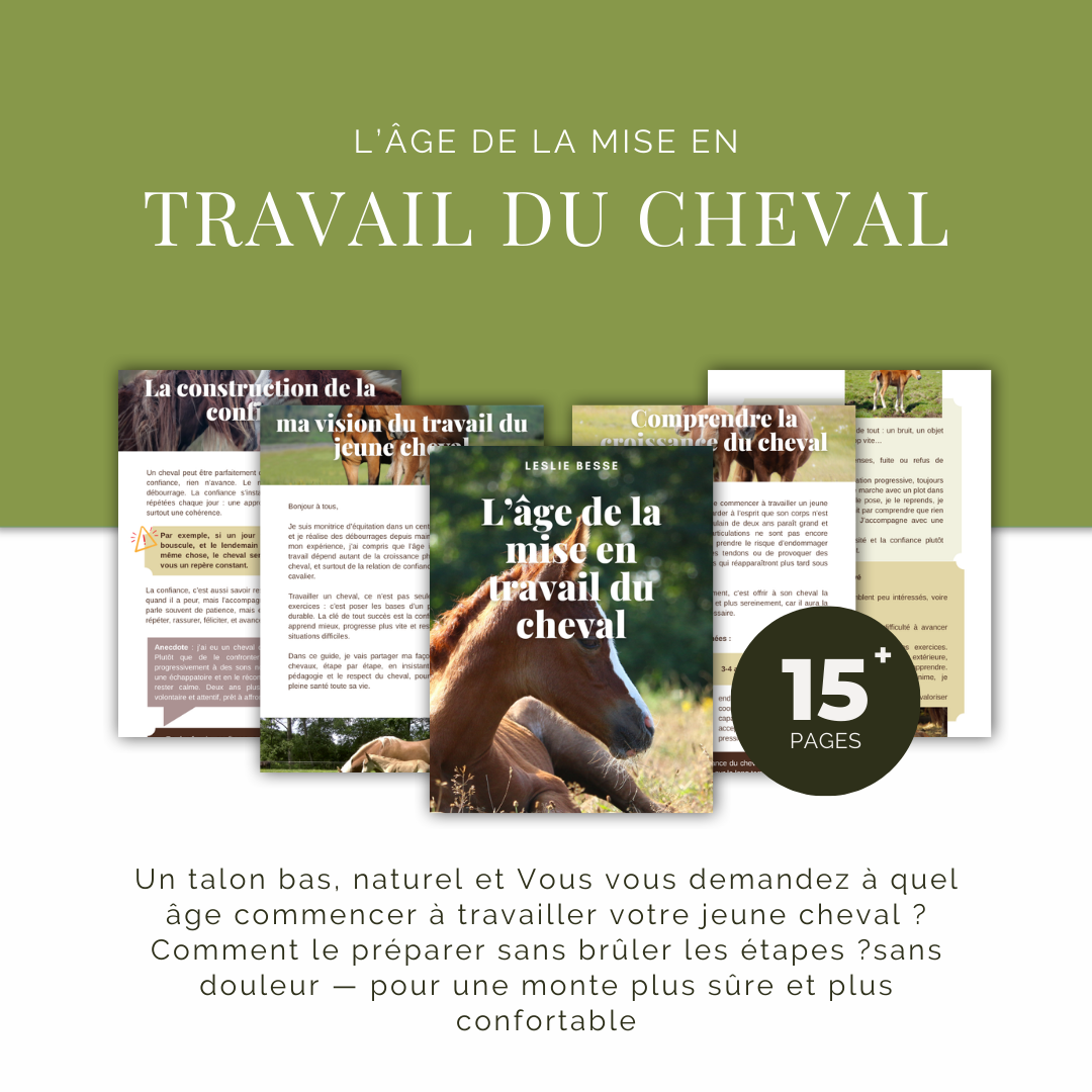 L'âge de la mise en travail du cheval - Payhip