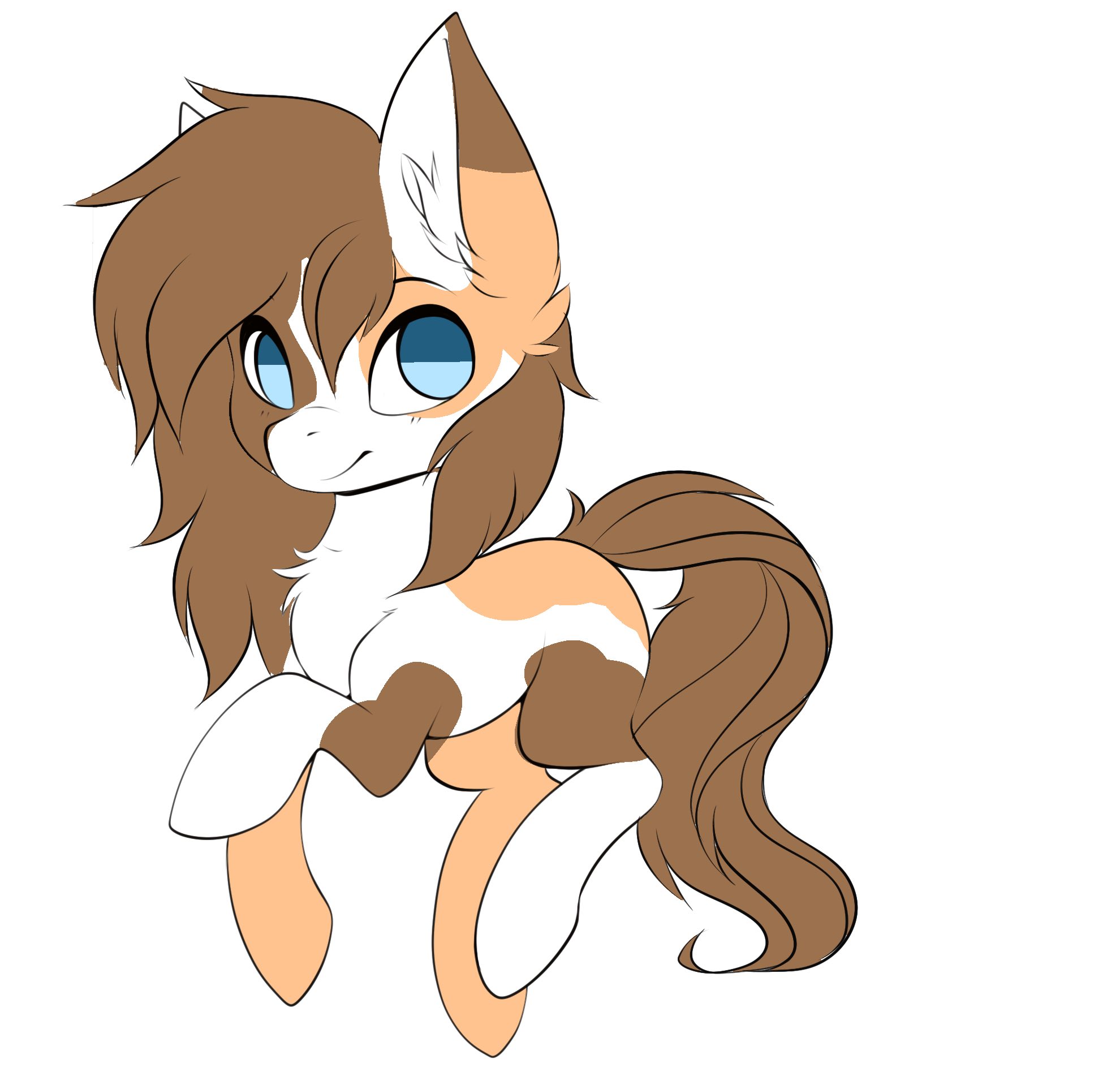 calico pony - Payhip