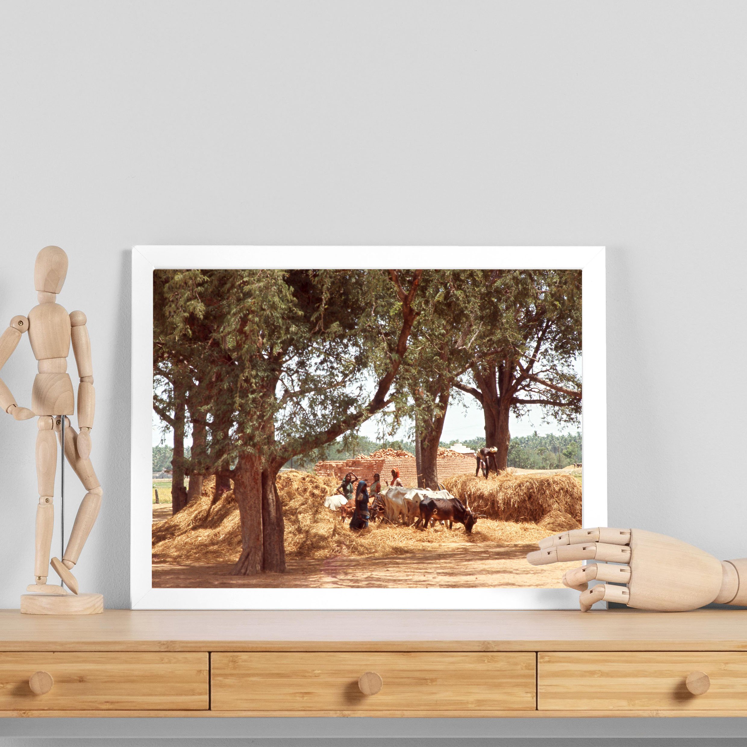 Rural India – Vintage 1960s Countryside Scene (A3, A4, 10×15 cm) - Payhip